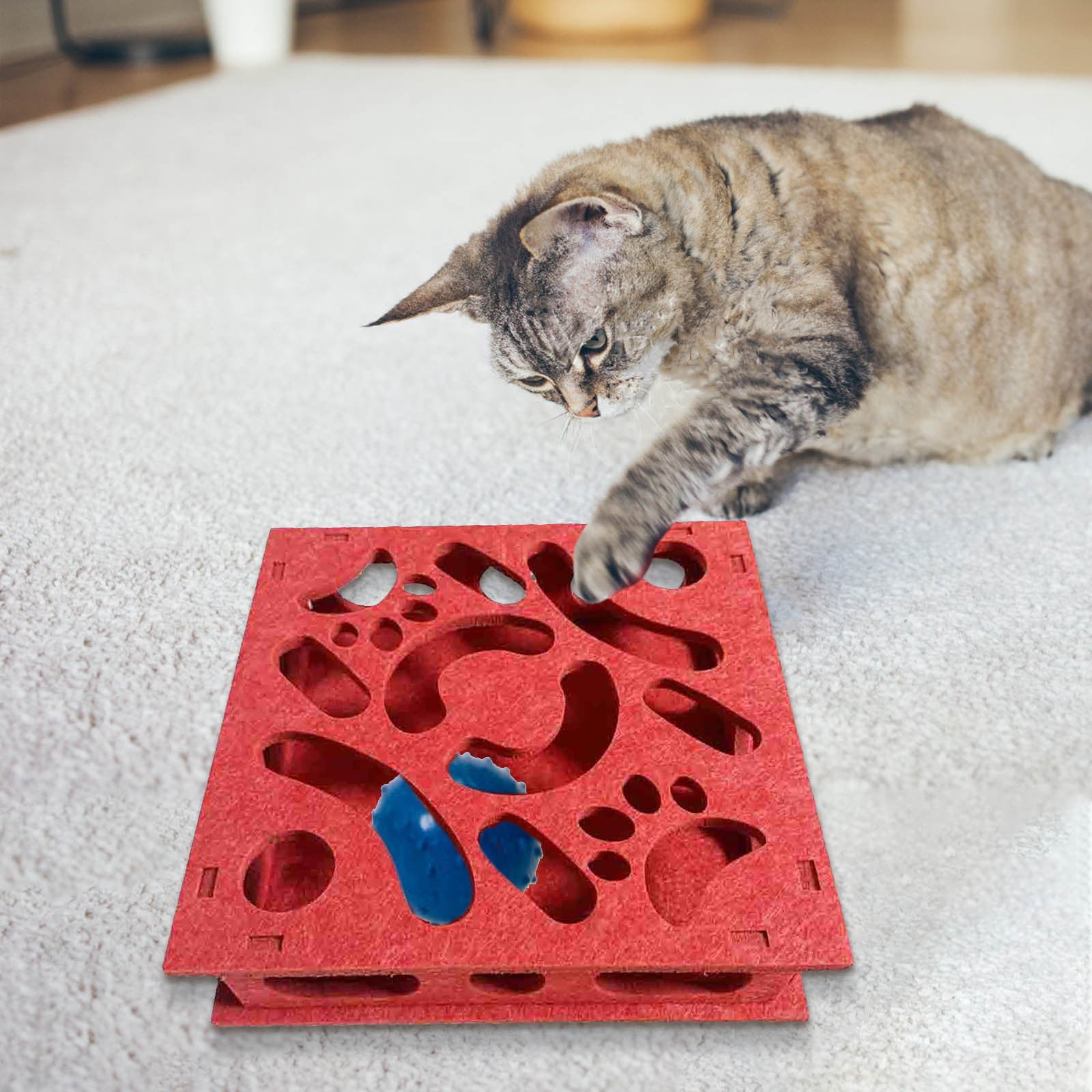 karymi Interactive Cat Intelligence Maze Toy Box with Treat Dispenser ...