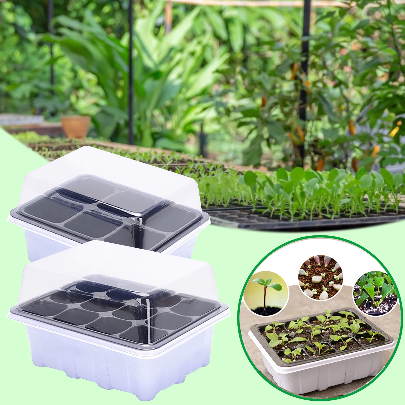 kcavykas 6-Cell Indoor Propagation Box Mini Greenhouse Set – Plastic ...