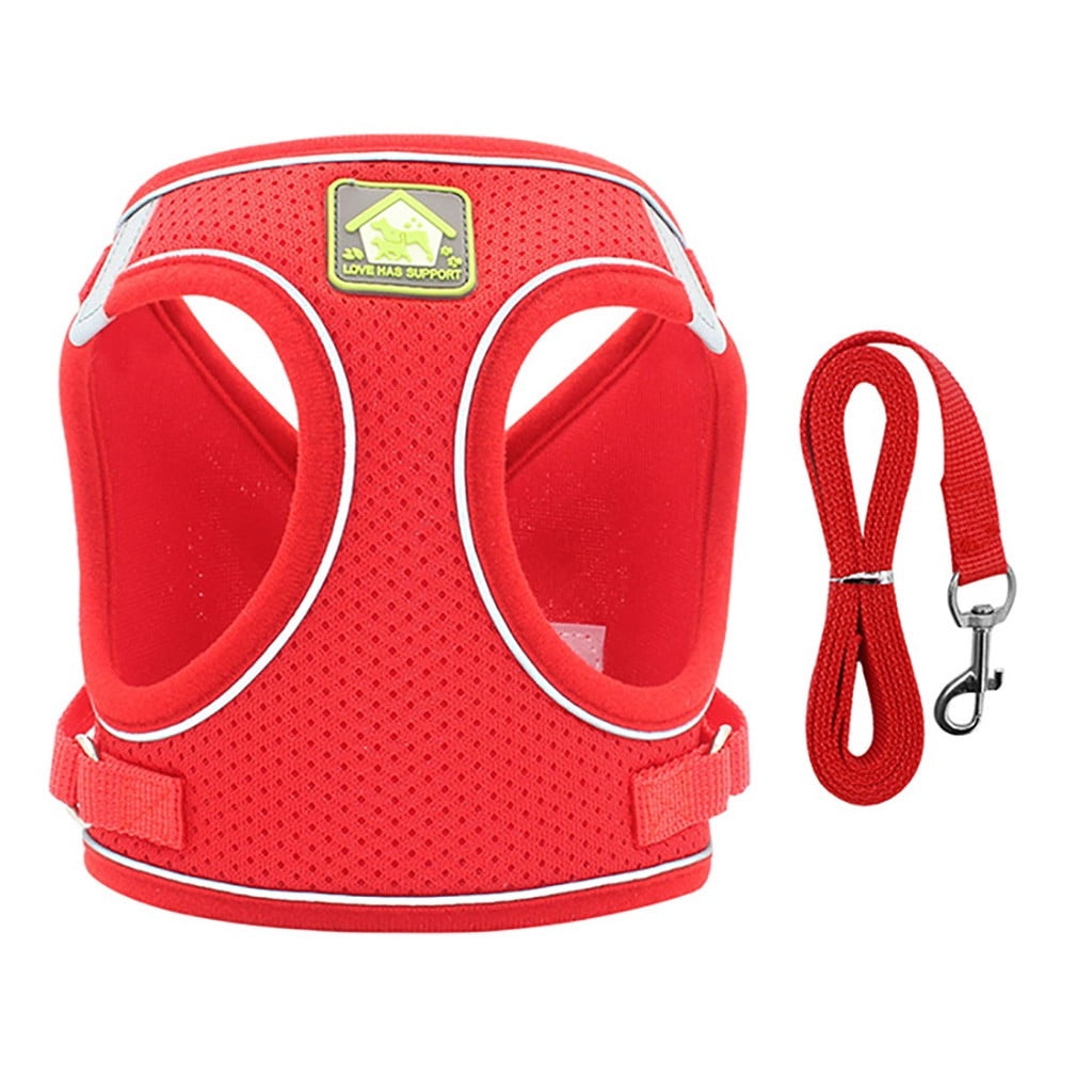 kedshhgu Small Dog Harness and Leash Set,Step in No Chock No Pull Soft ...