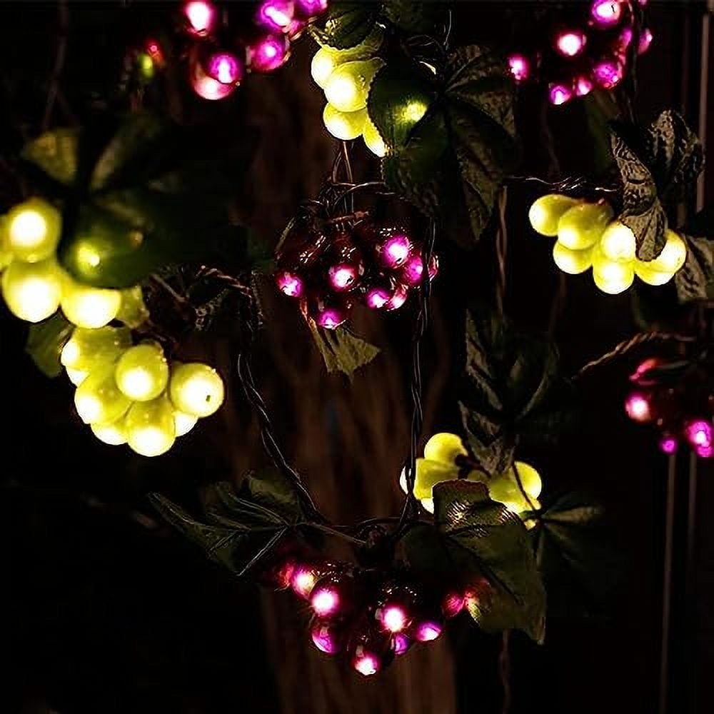 keeda Solar Grape Vine LED String Lights 80 LED Waterproof Fruit String ...