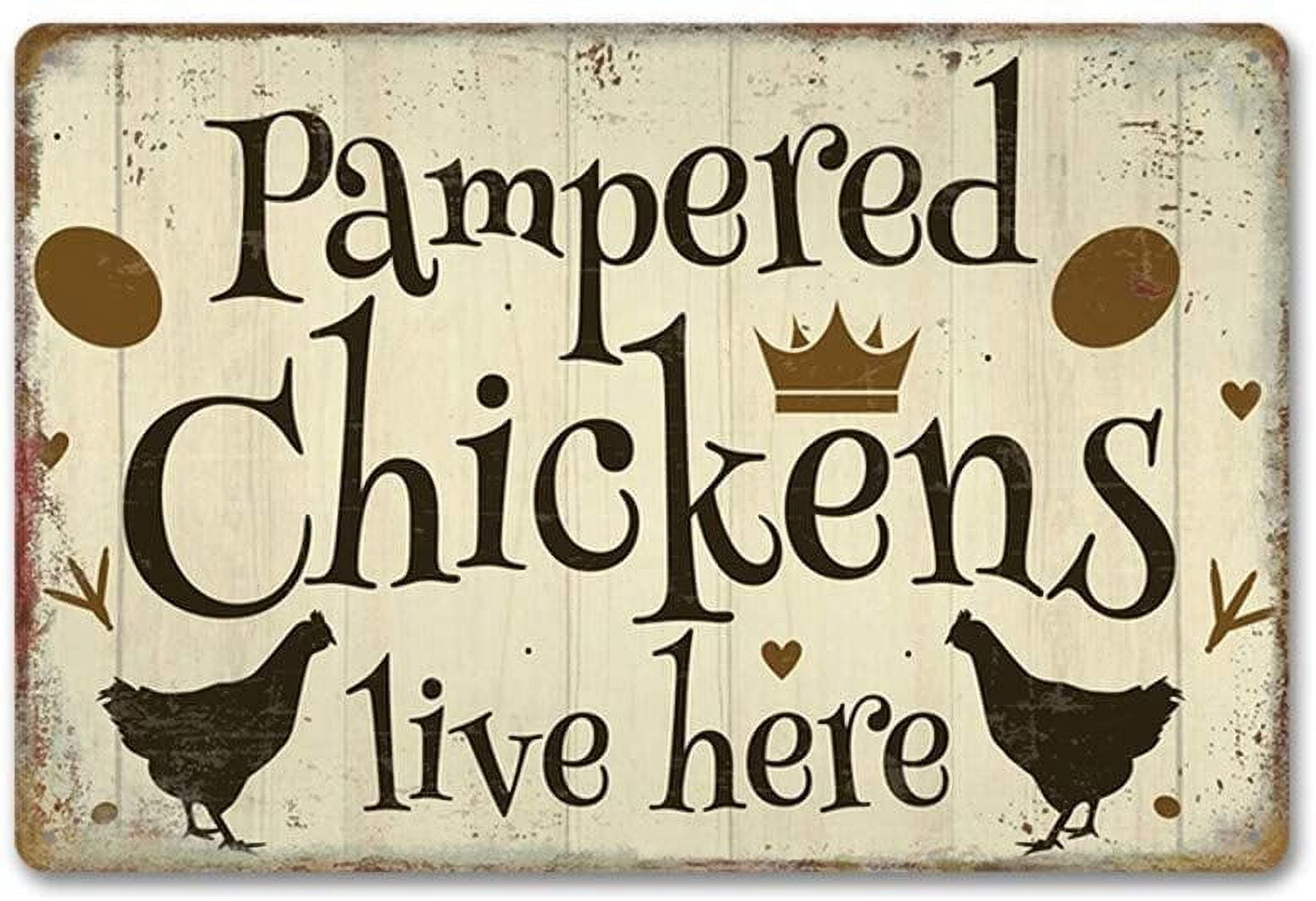 kengtou Metal Sign Chickens Tin Sign Retro Vintage [ Pampered Chickens ...