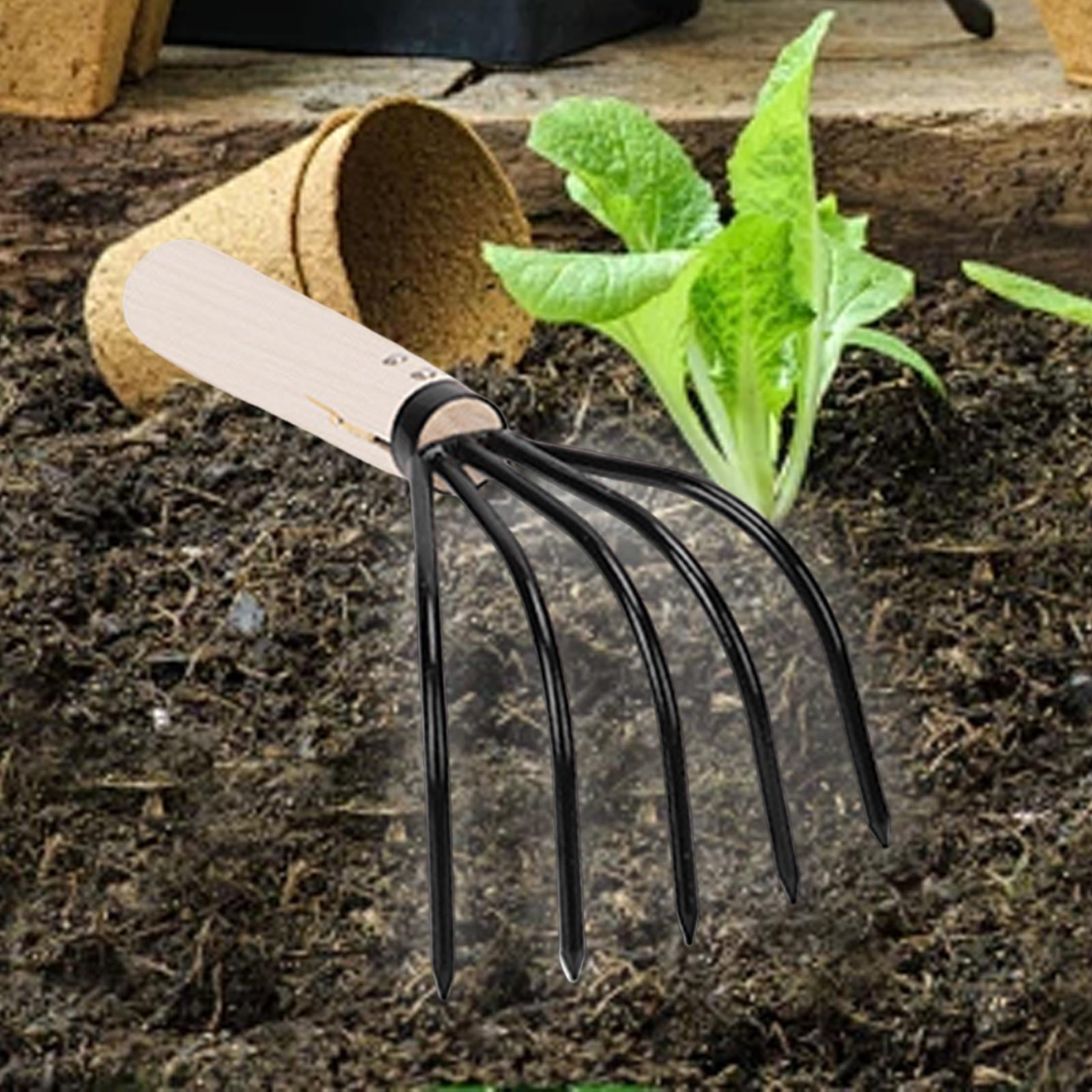 kesoto 5 Tines Garden Rake Claw Rake Practical Easy to Use Lightweight ...