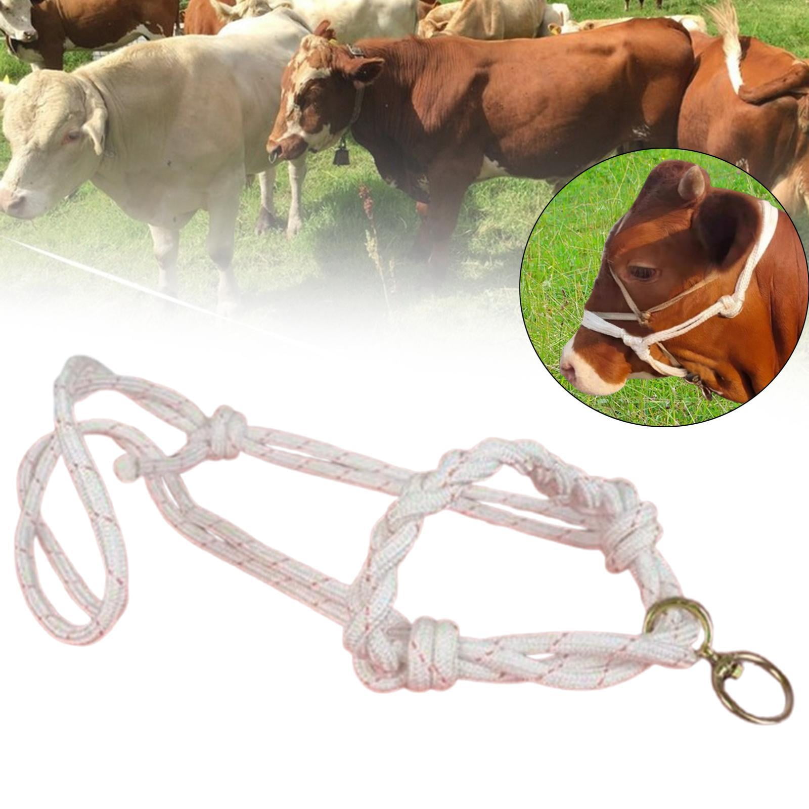 kesoto Cow Halter Bull Bridle Livestock Farms Tools Strong Cow ...