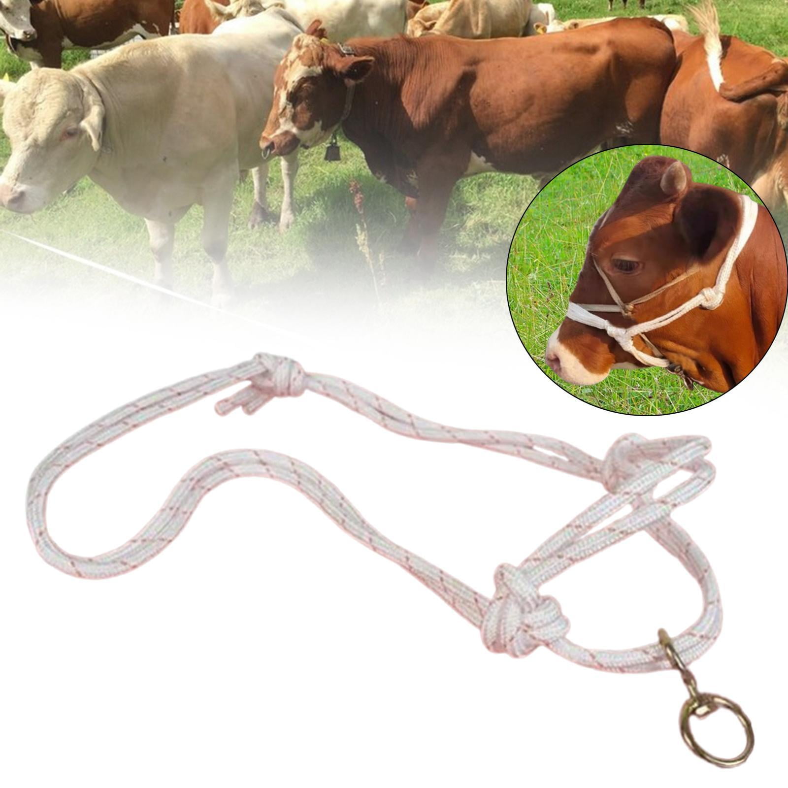 kesoto Cow Halter Bull Bridle Livestock Farms Tools Strong Cow ...