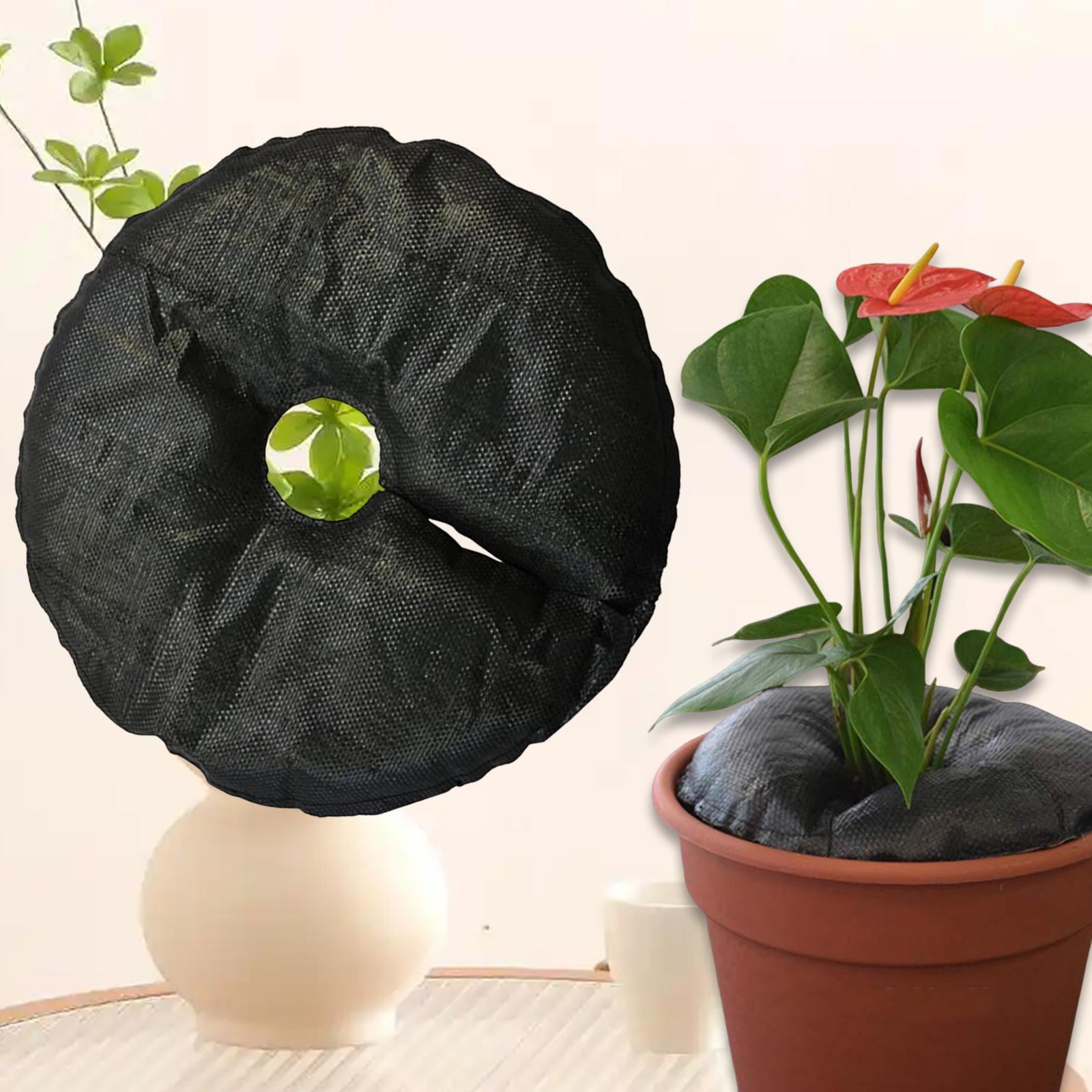 kesoto +Day Tree Mat Automatic Irrigation Mat Slow Release Tree for ...