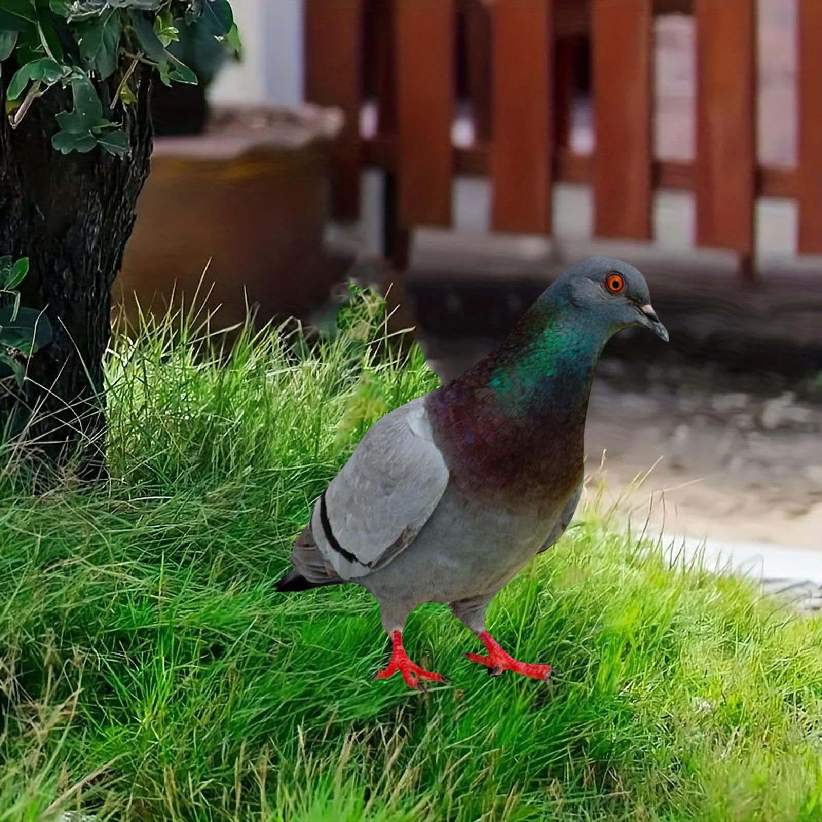 kesoto Pigeon Statue Garden Stake Animal Sculpture Yard Sign Metal Yard ...