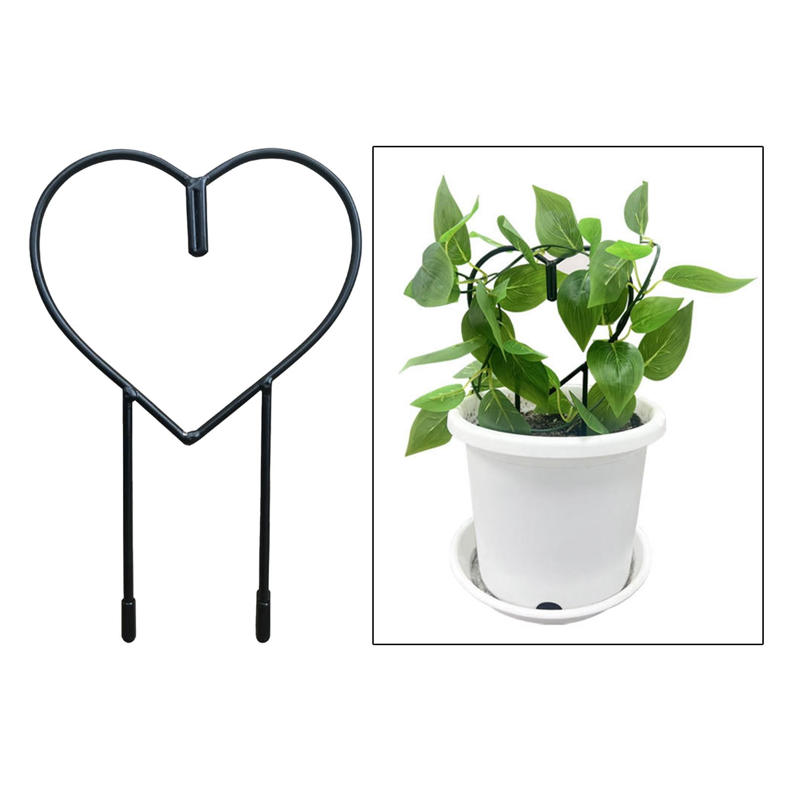 kesoto Plant Trellis Heart Shaped Climbing Holder Rack Indoor Patio ...