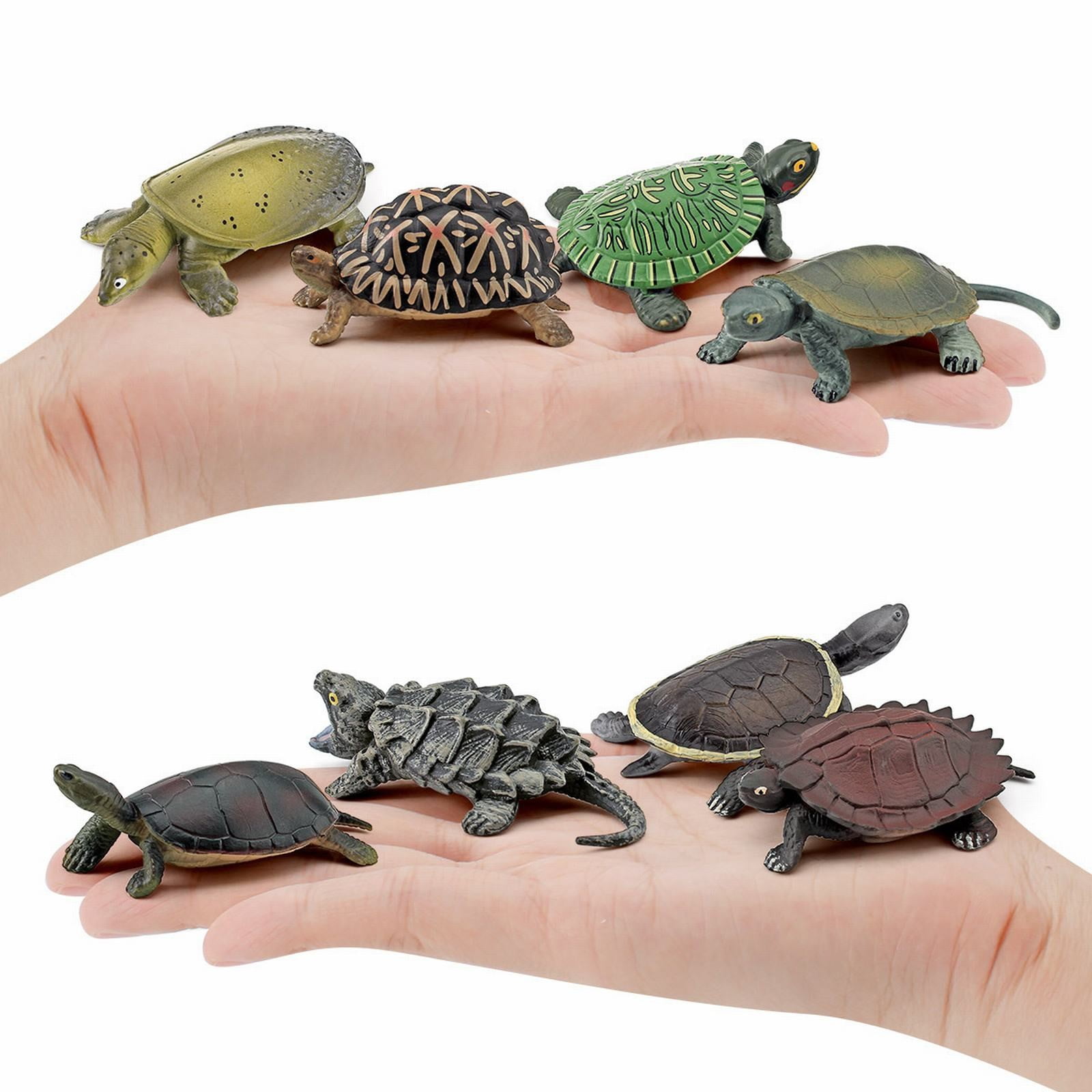 Keusn 12PC Miniature Turtle Toys Set: Detailed Figures, Reptile Party ...