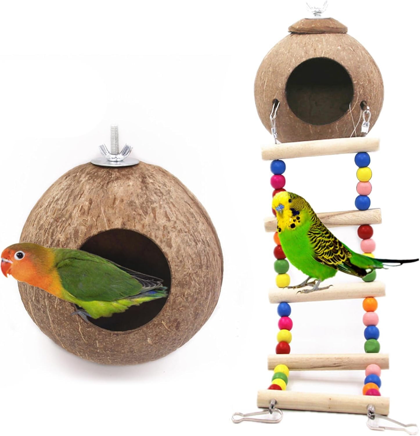 keyasia Natural Coconut Hideaway with Ladder Coconut Bird House with ...