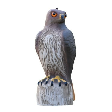 Falcon Decoy Bird Repellent Predator Flashy Reflective Eyes Owl Decoy ...