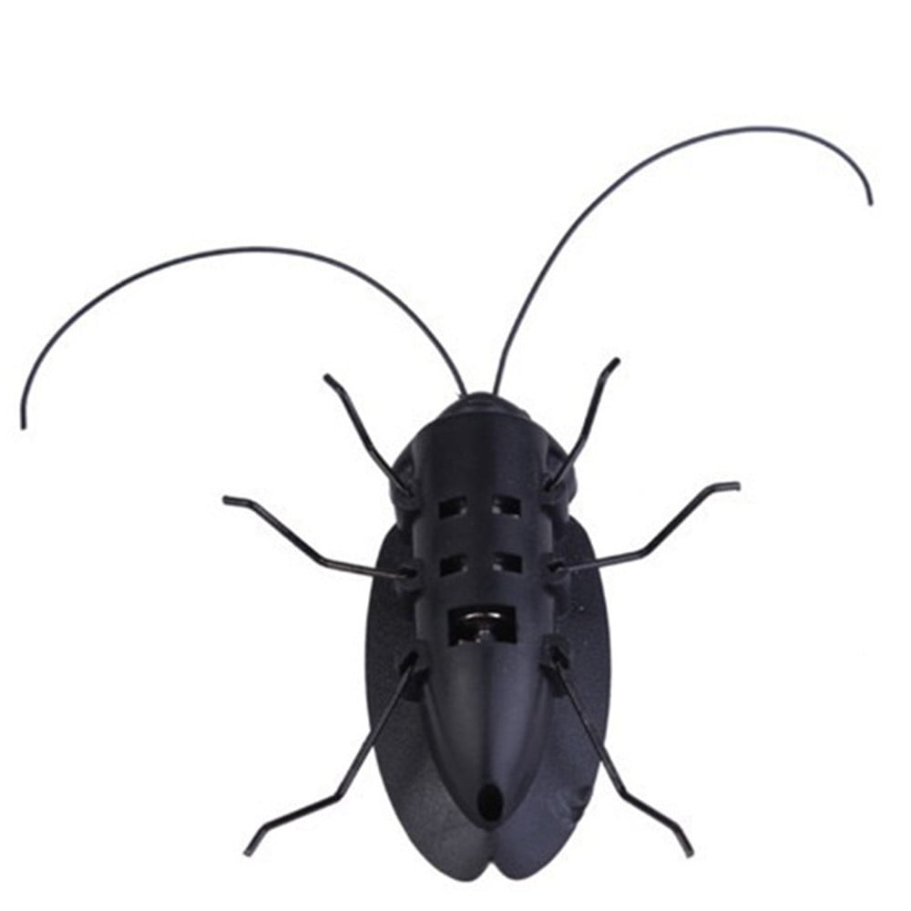 kjfeif Educational Solar Powered Cockroach Robot Toy Solar Powered Toy ...