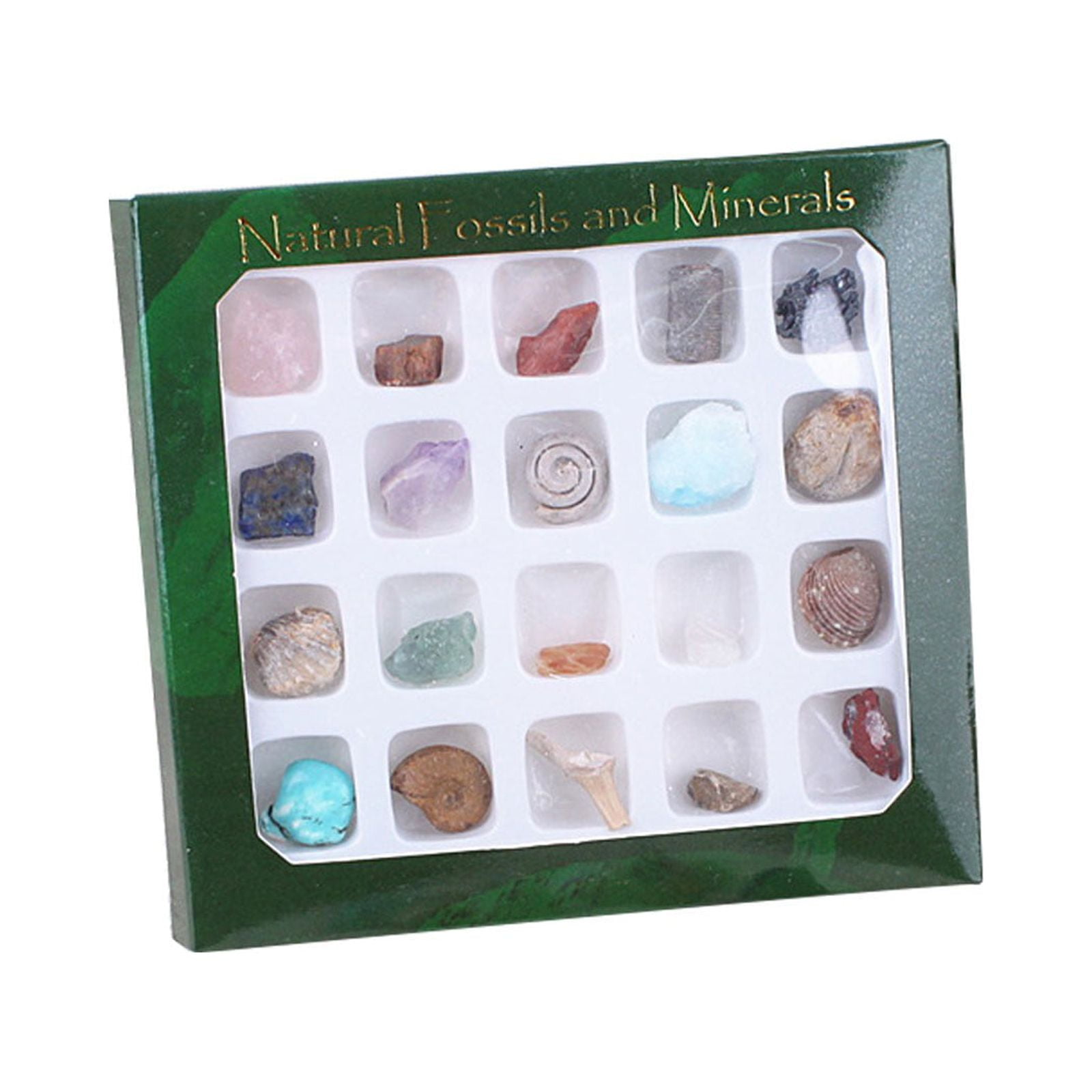 kjfeif Rock Collection for Kids - 20 Pcs Rocks, Gemstones & Crystals ...