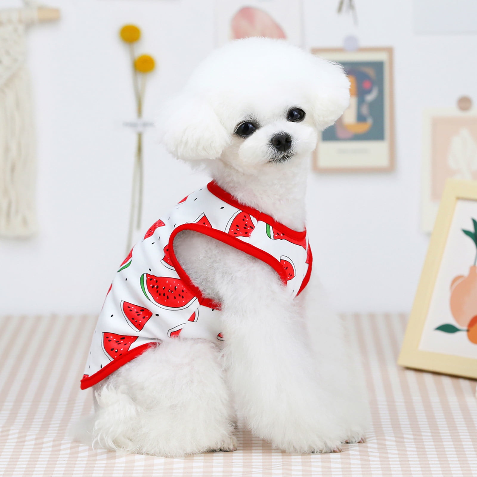 kladzum Dog Clothes Pet Dog Summer New Clothing Cute Thin Five-Color ...