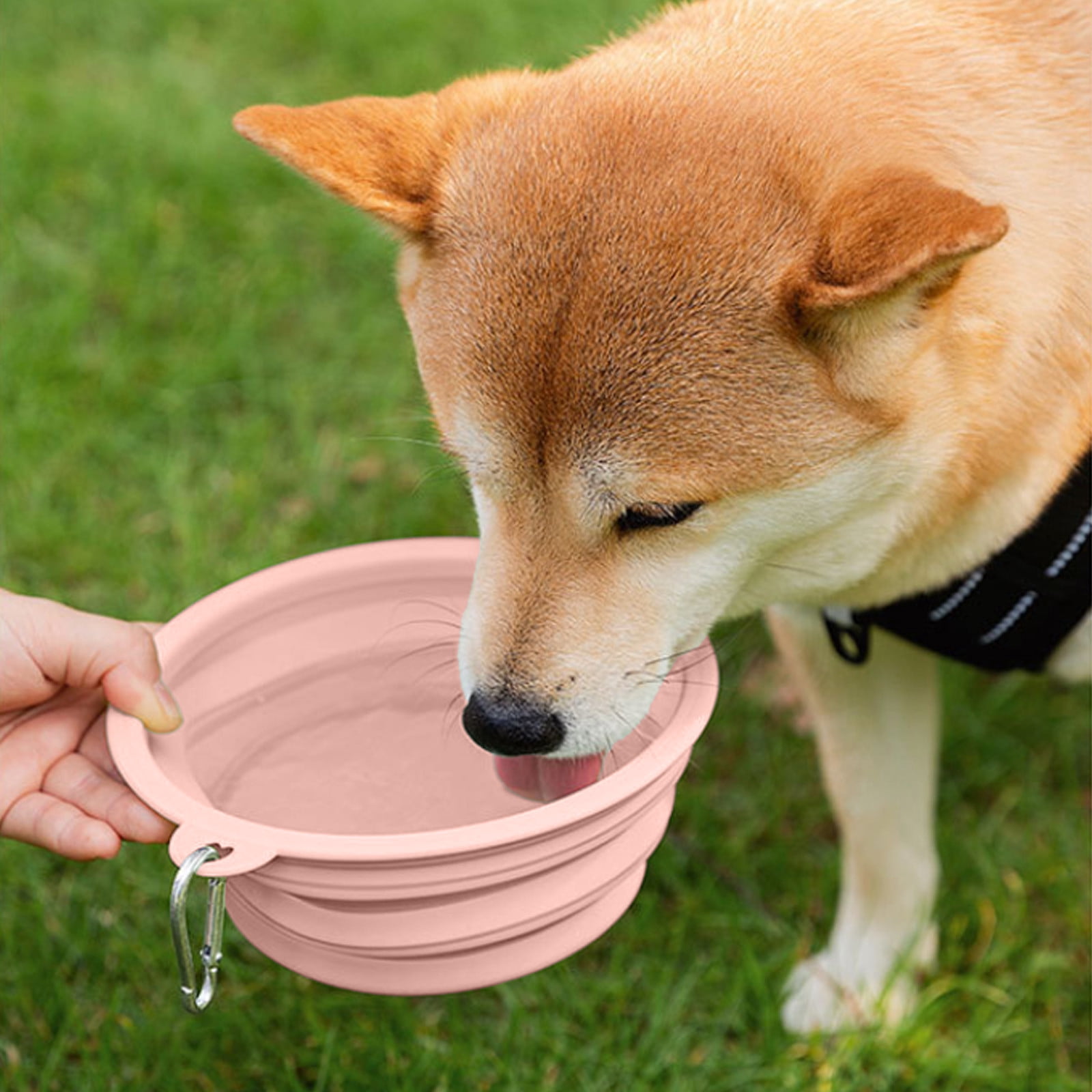 kladzum Pet Outdoor Folding Bowl for Puppy Outdoor Portable Bowl for ...