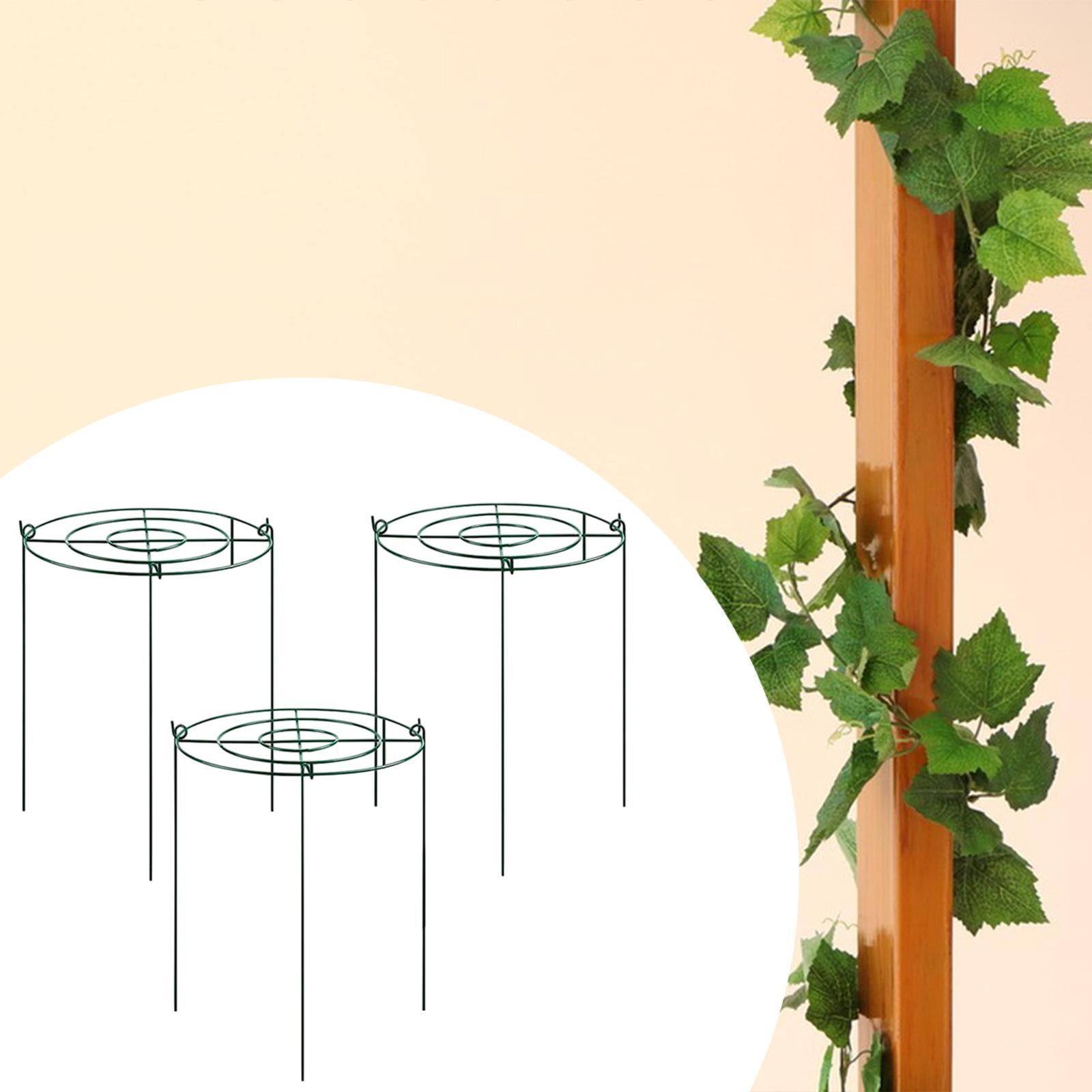 koolsoo 3 Pieces Peony Cages and Supports Metal for Hydrangea ...