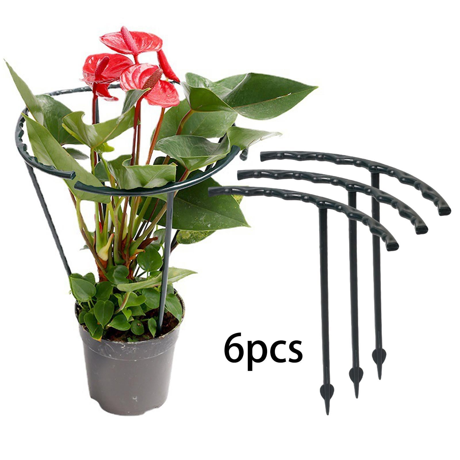 koolsoo 6Pcs Plant Support Stakes Plant Cages Fruit Rack Supporting ...