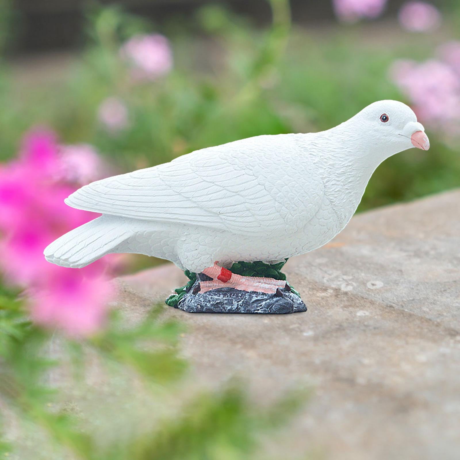 koolsoo Artificial Pigeon Model Simulation Pigeon Statue Aesthetic ...