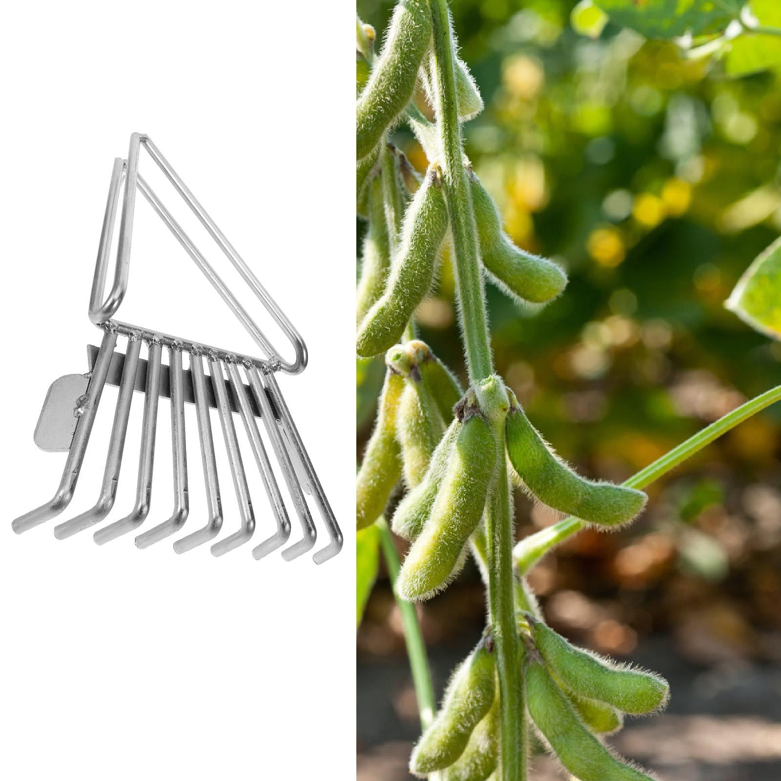 koolsoo Edamame Picker Peanut Picker Rake Multifunctional Hand Fruit ...