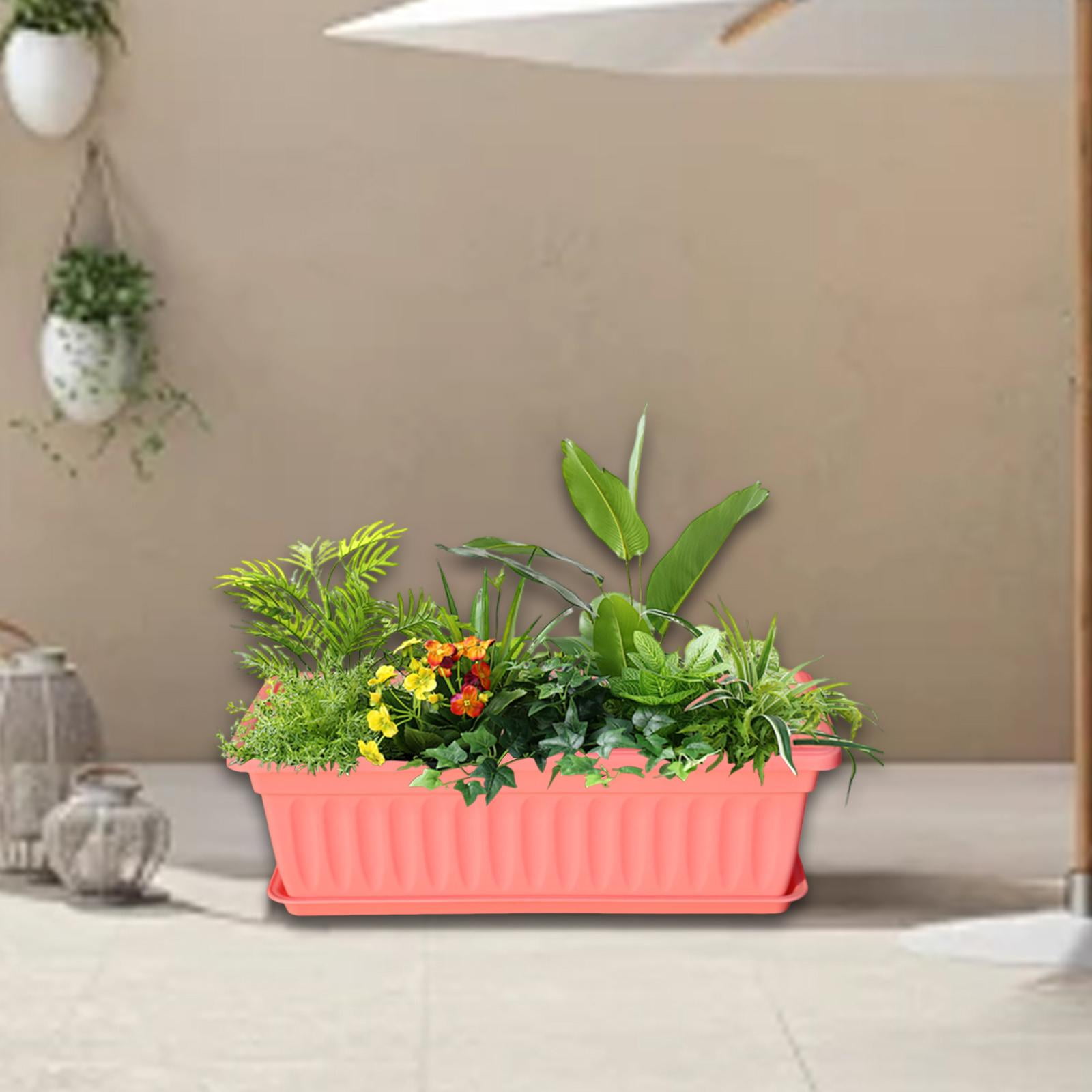 koolsoo Flower Pot Window Box Planter Vegetable Planting Box Vegetable ...