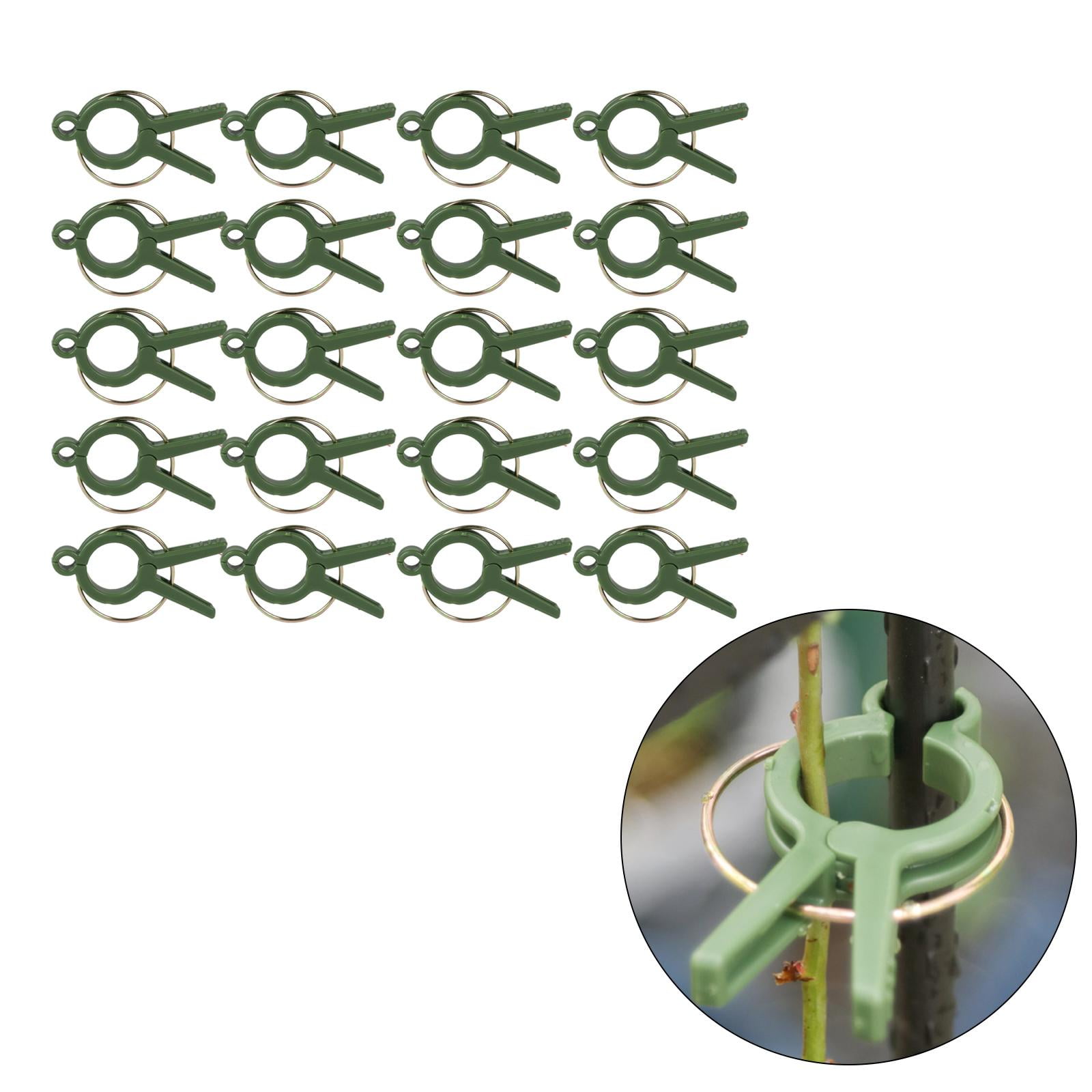 koolsoo Garden Plant Clips Flower and Vine Clips Vertical Gardening ...