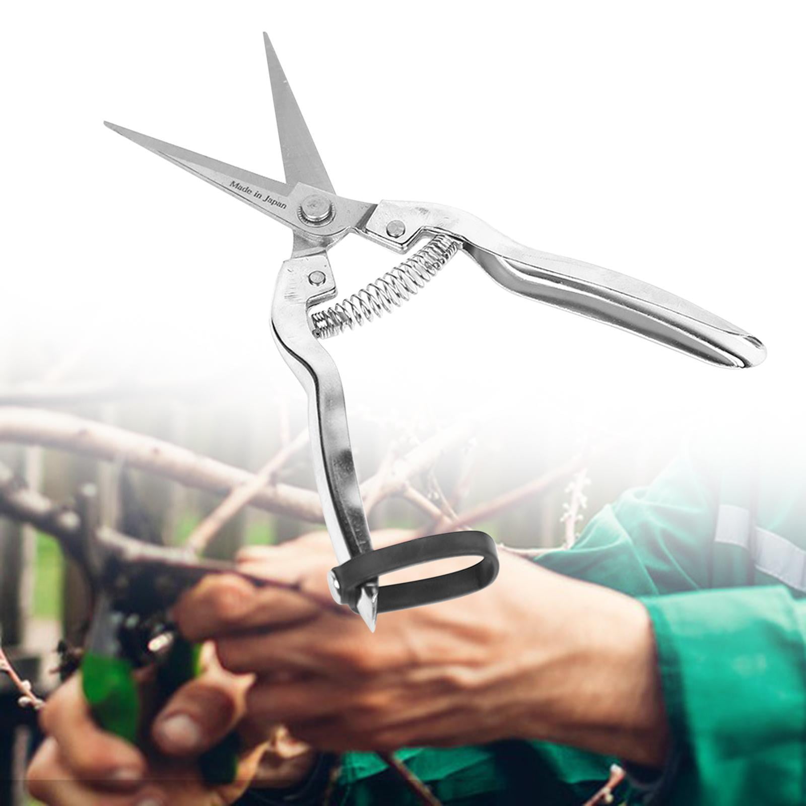 koolsoo Garden Pruning Shear Gardening s Clippers Professional Sharp ...