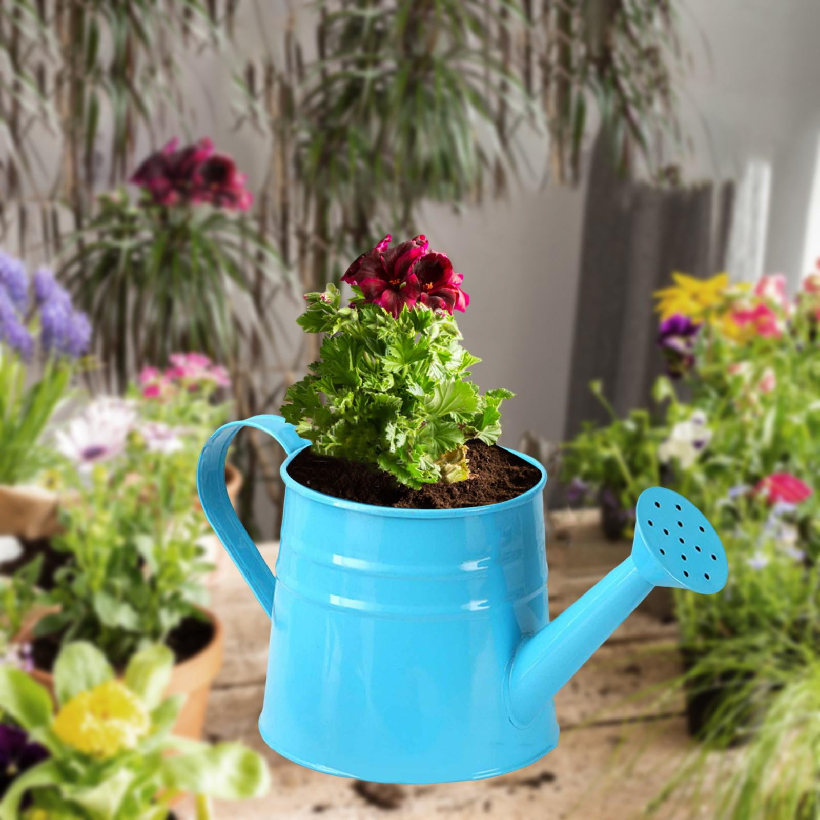 koolsoo Metal Mini Watering Can Planter Flower Container Rustic ...