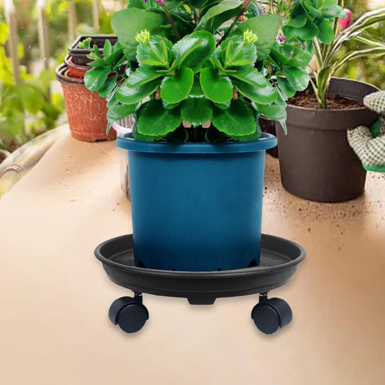 koolsoo Plant Dolly with Wheels Plant Saucer Roller Flowerpot Tray ...