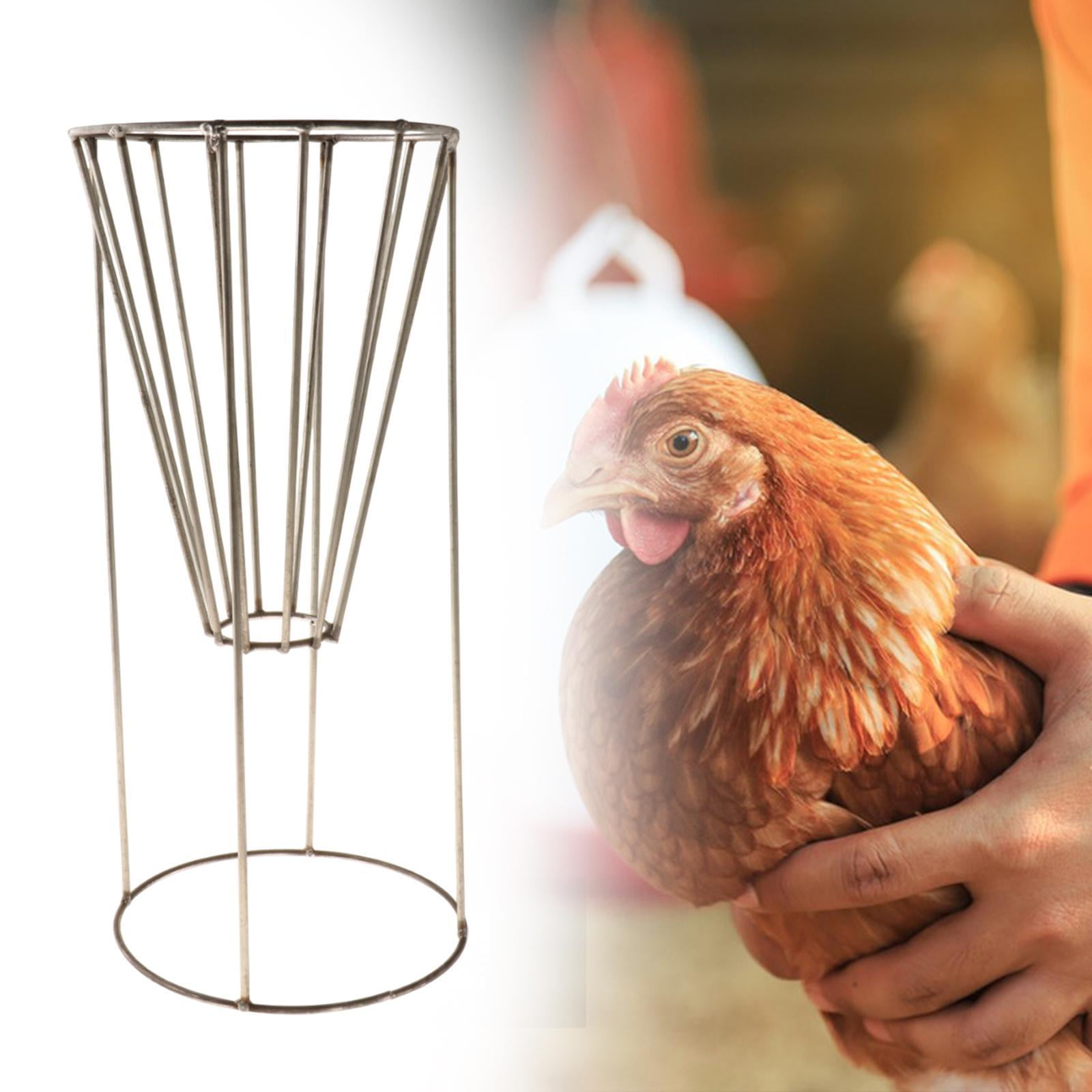 koolsoo Restraining Cone Chicken Cone Standing Metal Killing Chicken ...