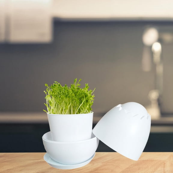 Grow Fresh Bean Sprouts with Garden Kits and Hydroponic Systems