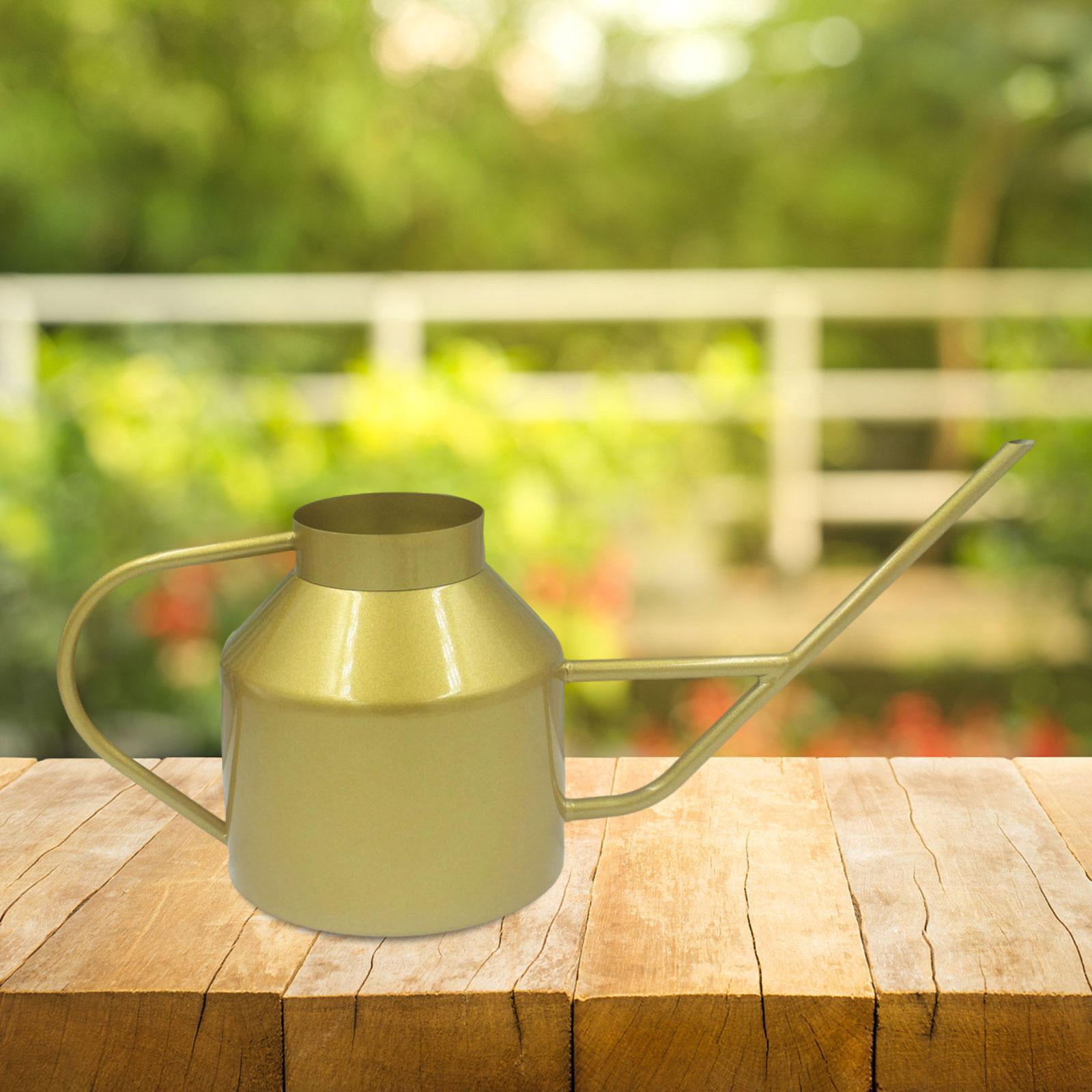 koolsoo Watering Can with Long Spout 1.6L Plant Waterer for House ...