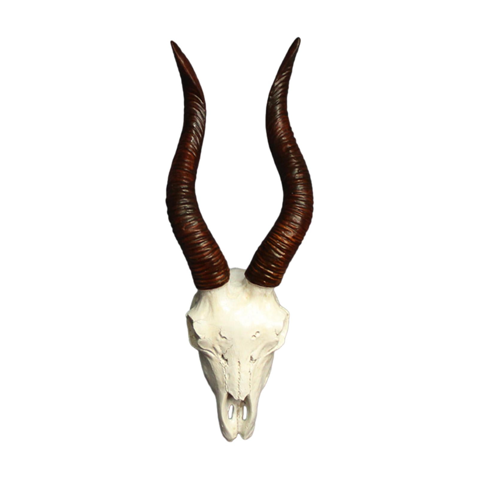 kowaku Faux Animal Skull Wall Sculpture Resin Rustic Animal Head ...