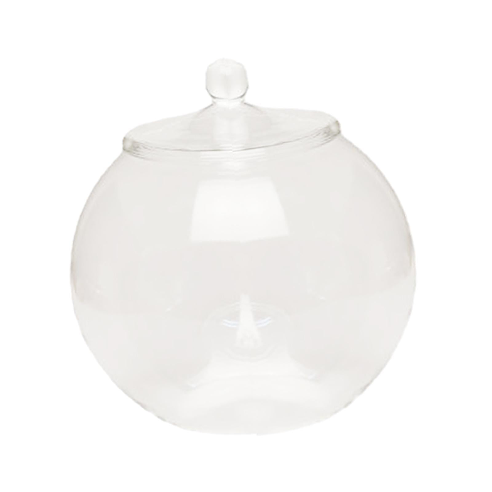 kowaku Glass Plant Container,Micro Landscape Vase Bottle with Lid ...