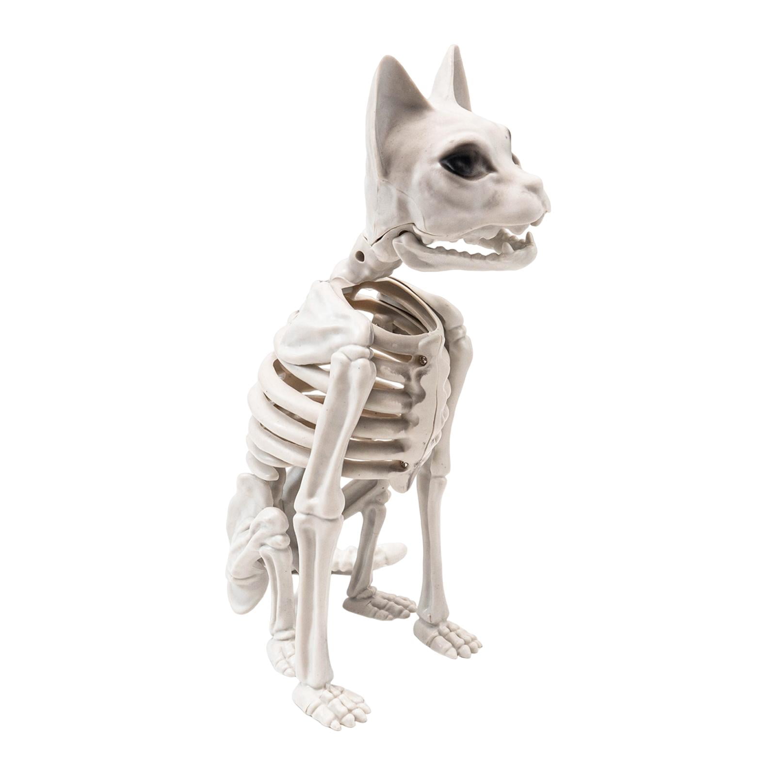 kowaku Realistic Cat Skeleton Halloween Decor 5.9x9.4x13.4inch for ...