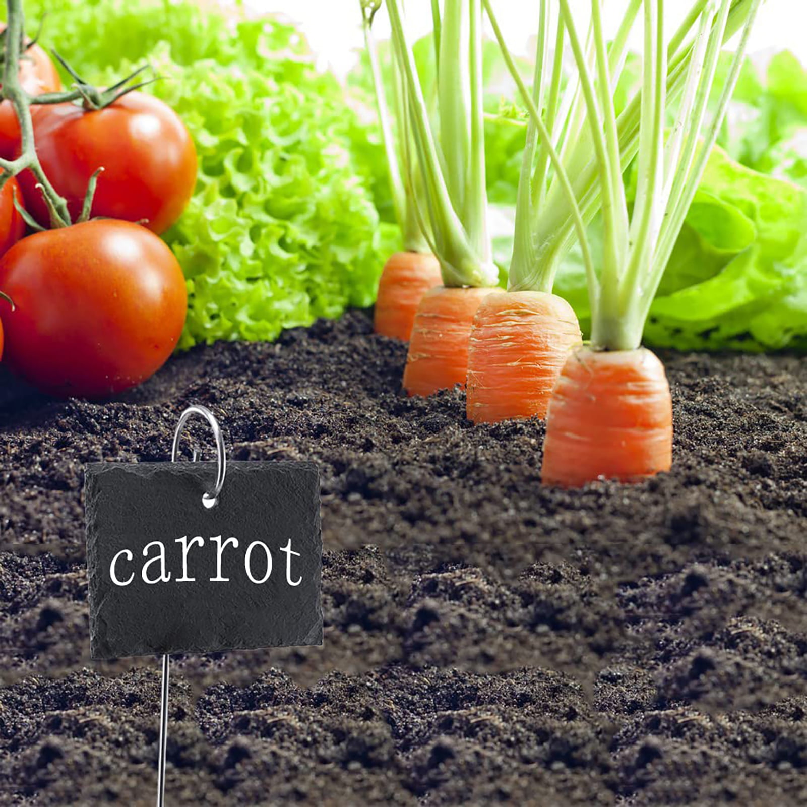 kuorak 20Pcs Plant Label Hooks High Strength Rustproof Corrosion ...