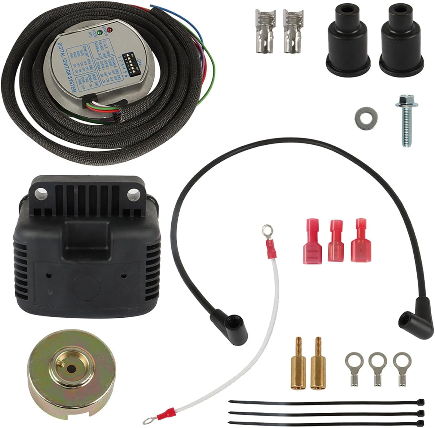 labwork 53-660 Programmable Ignition Kit Replacement for Big Twin ...