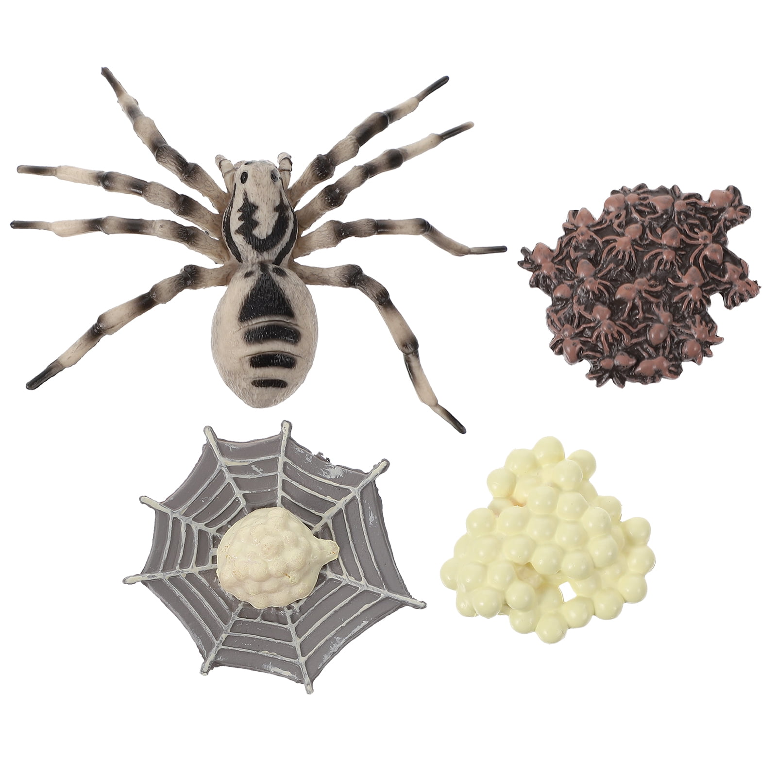 landege 1 Set of 4pcs Animals Figurines Tarantula Spider Life Cycle ...