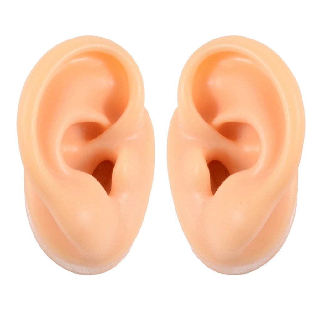 landege 2pcs Silicone Ear Models Earrings Display Fake Ear Samples ...