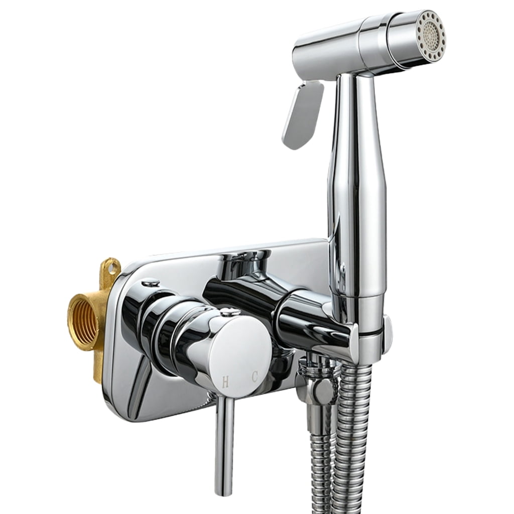 lanema Elegant Toilet Bidet Sprayer Set with Hot Cold mixers Valves ...