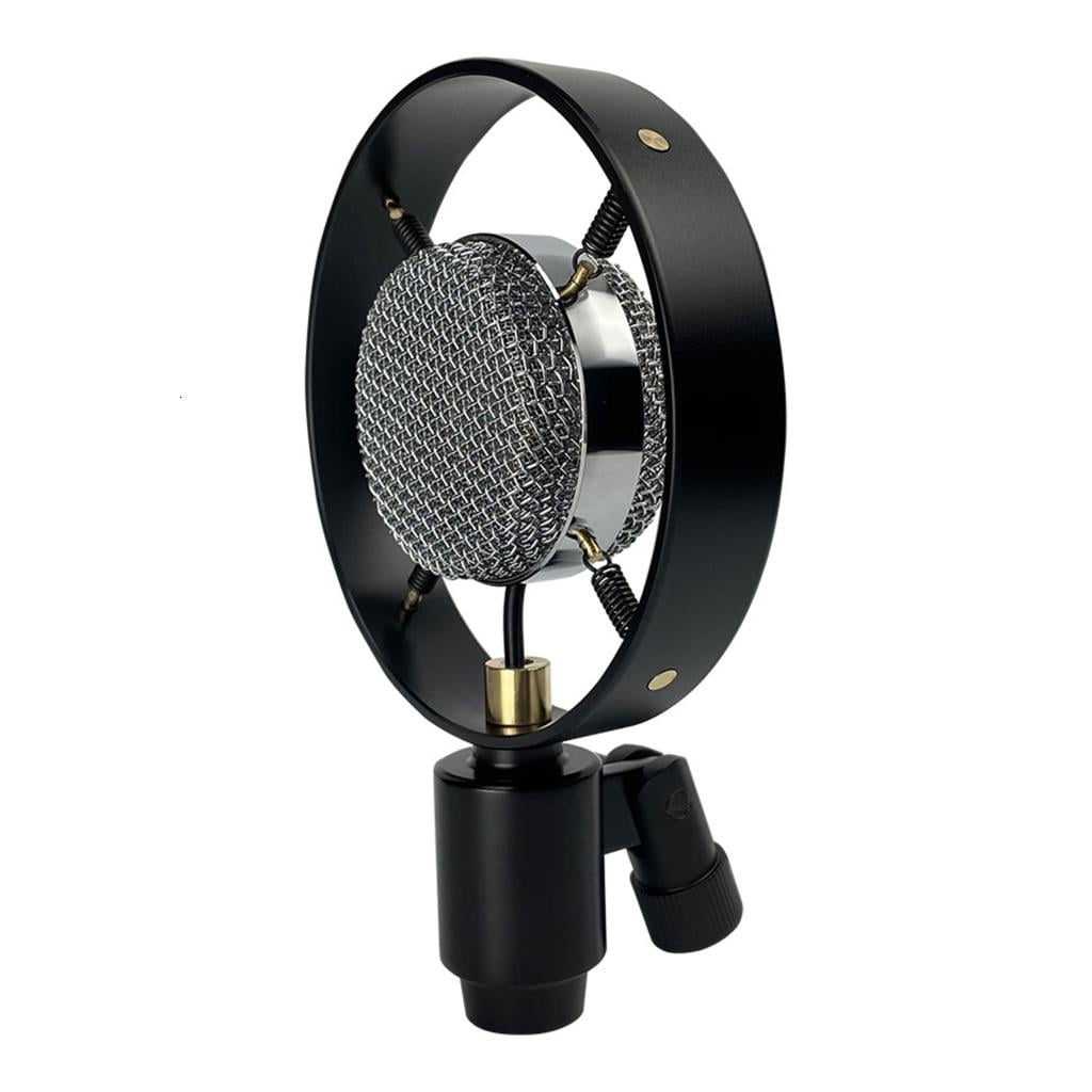 lanema Professional Microphone Condenser Microphone Vintage Recorder ...