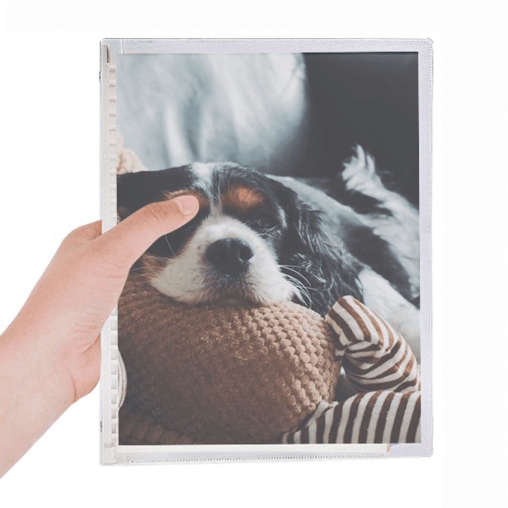 lazy dog animal sentimental picture notebook loose diary refillable ...