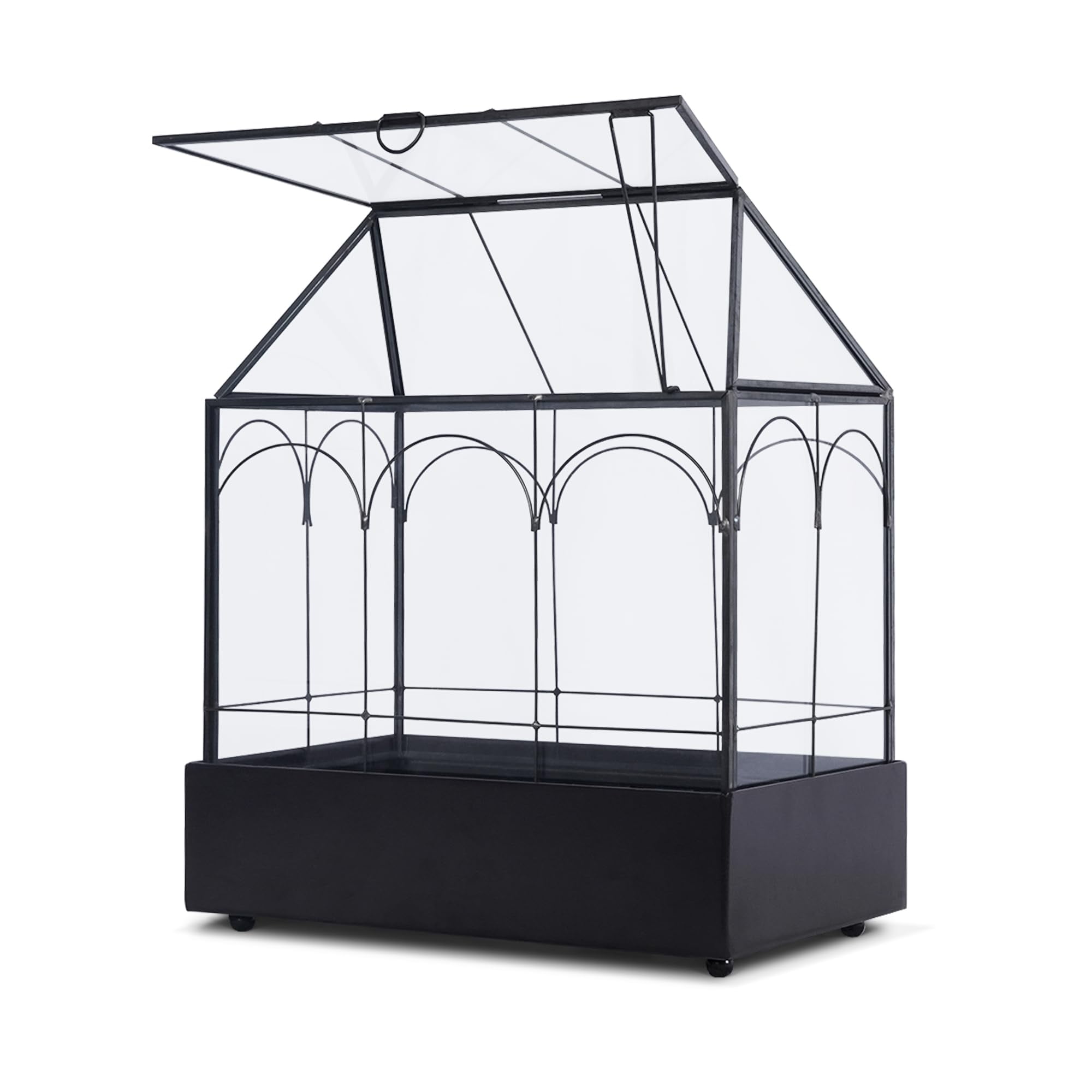 lesolar Glass Plant Terrarium with Lid and Tray 9.4"×5.7"×11.2 ...
