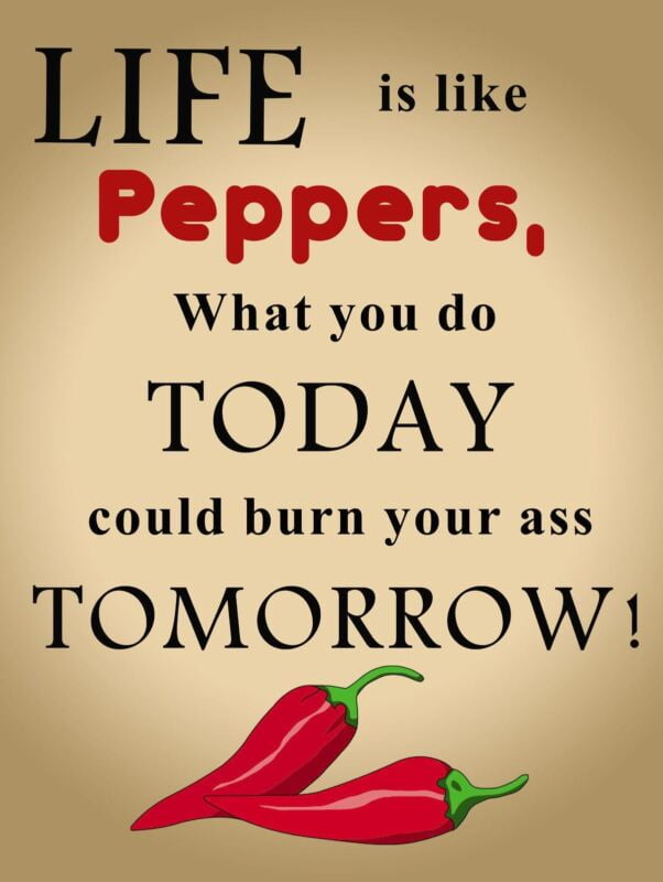 life like pepper Retro Metal Plaque/Sign, Pub, Bar, Man Cave, Size: 12 ...