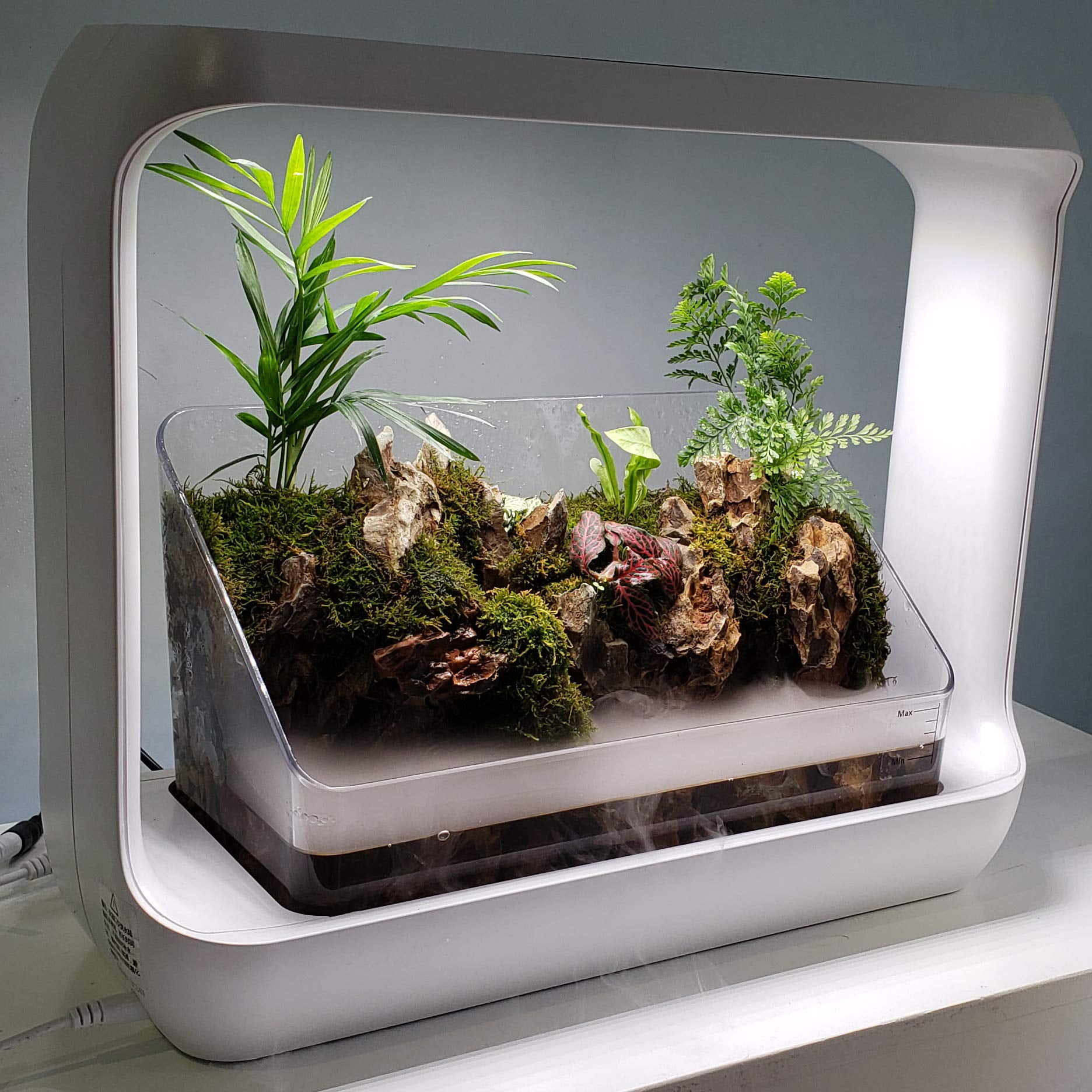 Lifegard R440871 LED Rock Garden Kit with Terrarium Waterfall & Fogger ...