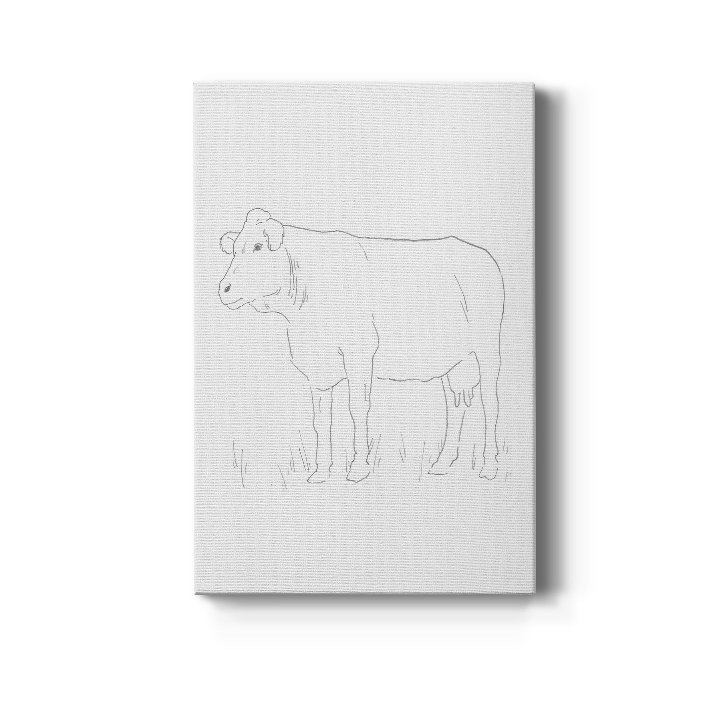 Limousin Cattle IV Premium Gallery Wrapped Canvas - Ready to Hang ...