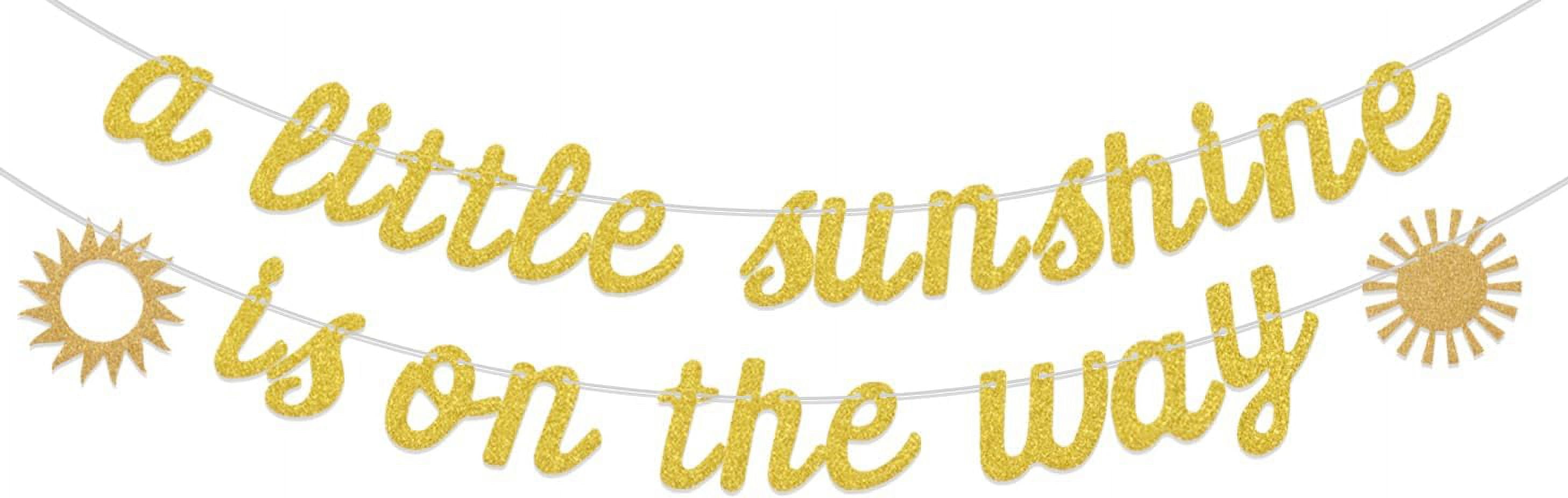 A little Sunshine Is On The Way Banner, Sunshine Birthday Decorations ...