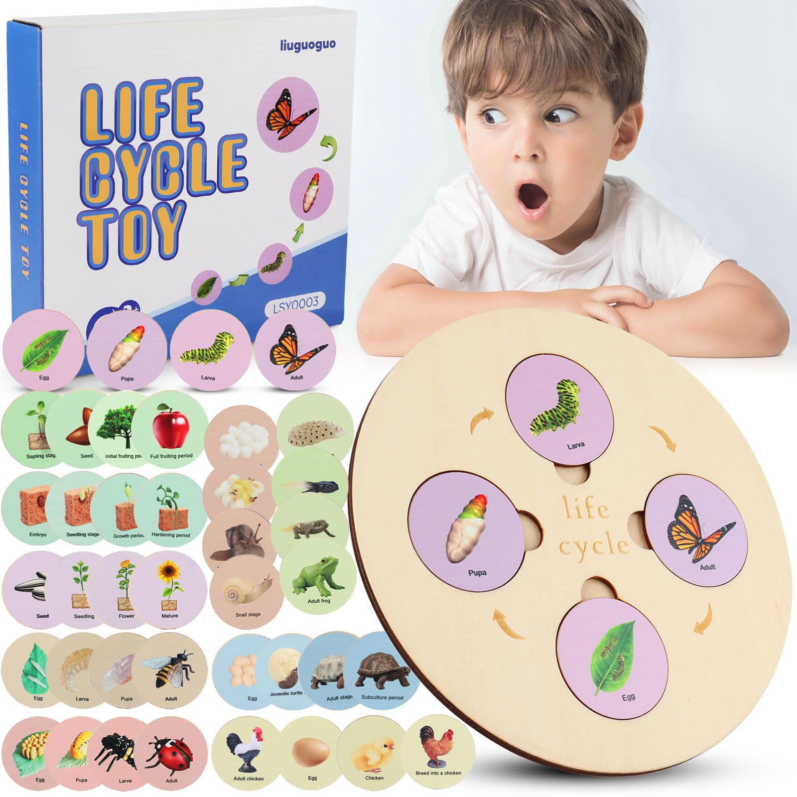 liuguoguo Life Cycle Toys AIF4 for Kids, Learning & Educational Science ...