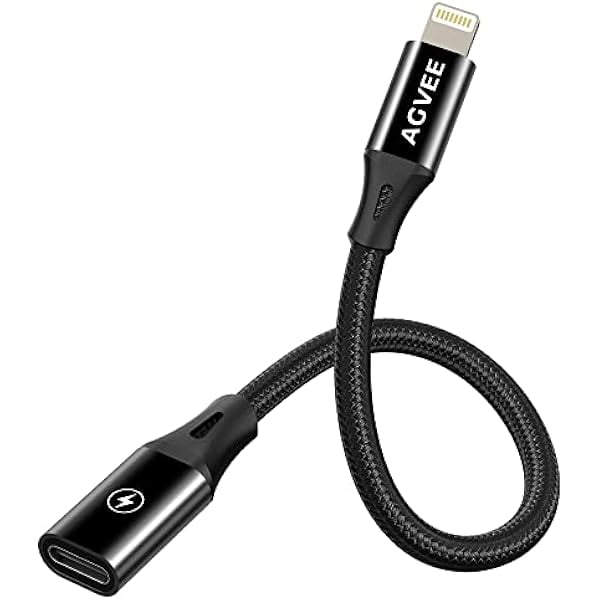 liuliuliu 1 Pack 4 inch 30W USB-C Female to Lightning Cable Adapter ...