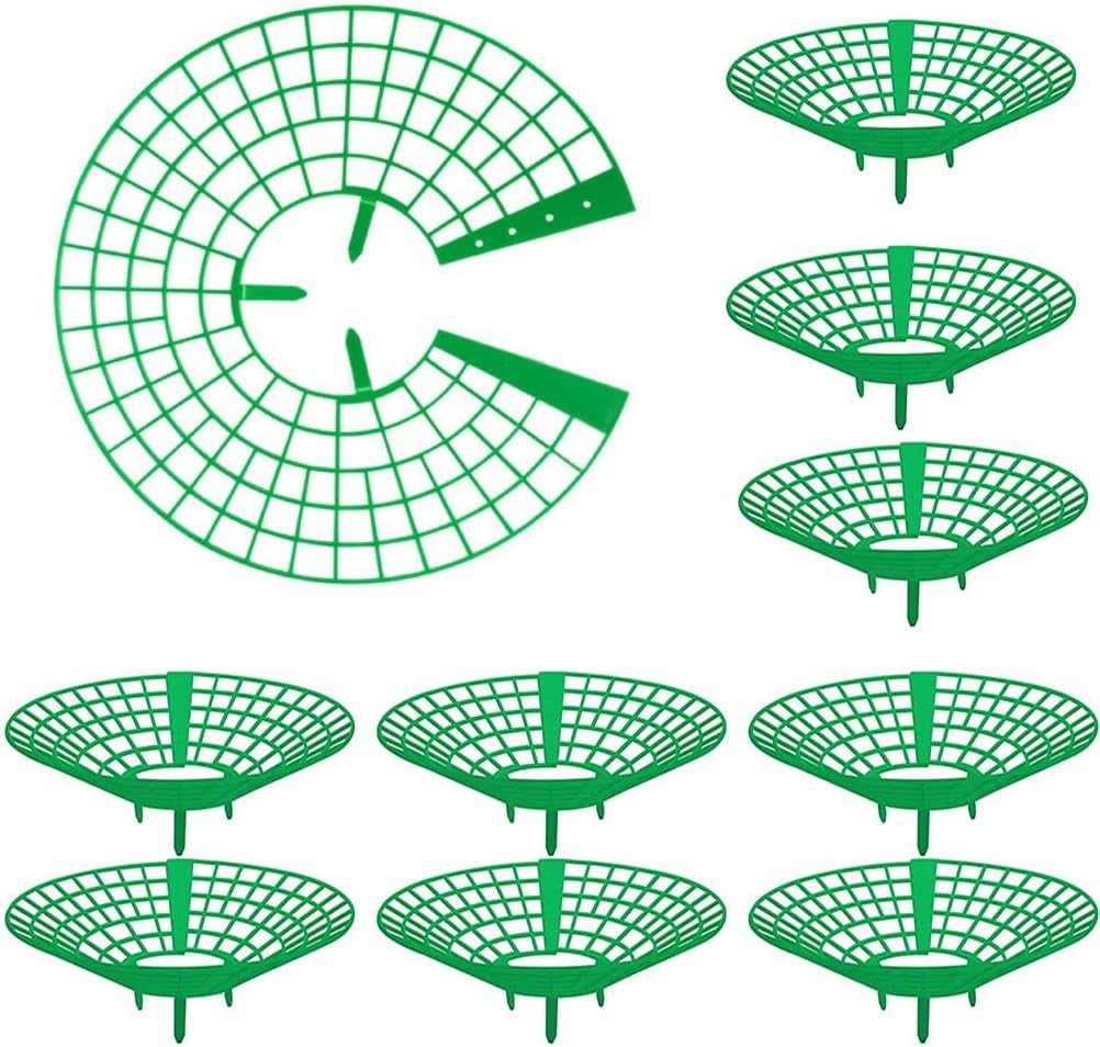 lkjhf 10 Pcs Strawberry Plant Support Stand Strawberry Growing Racks ...