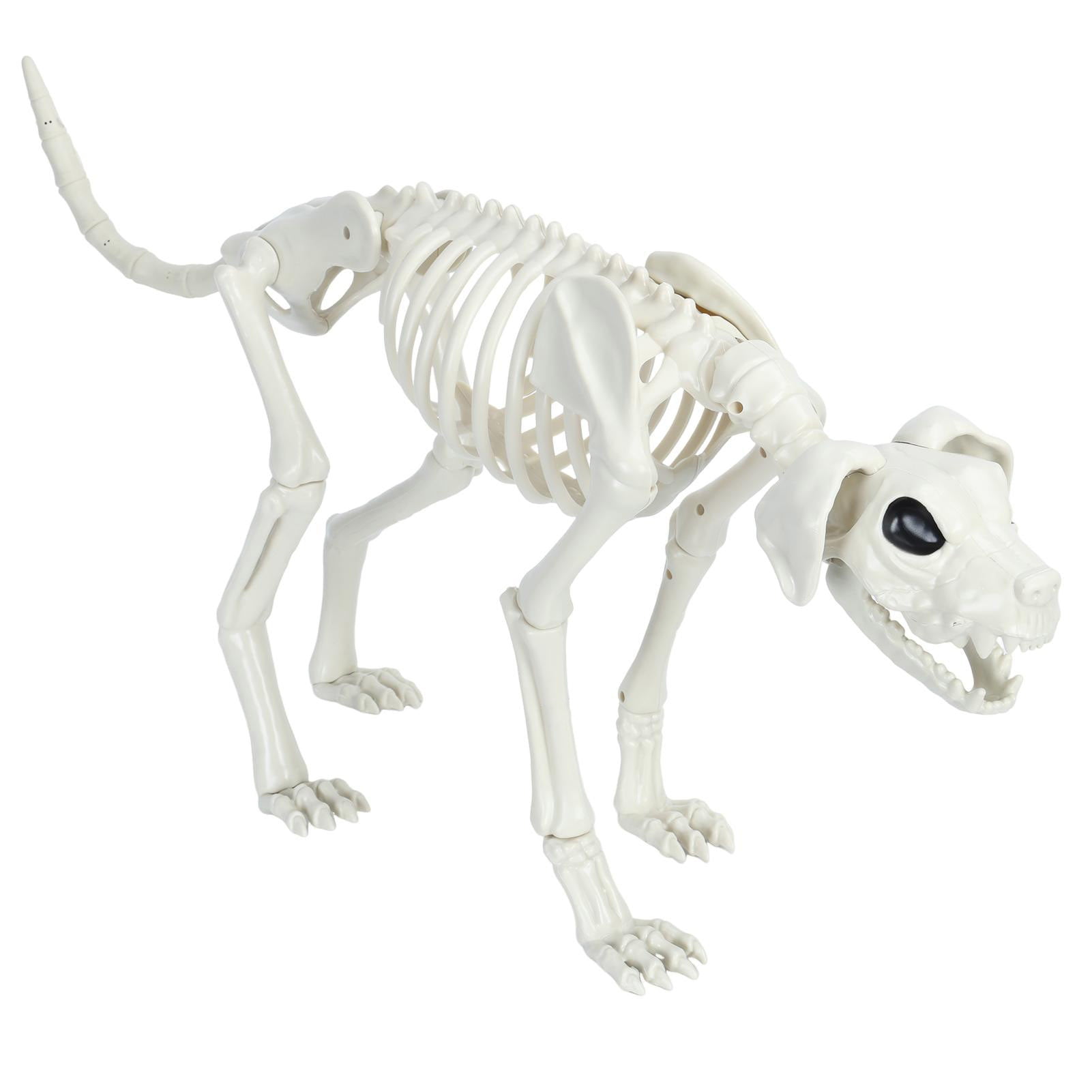 lsiaeian 31" Halloween Poseable Dog Skeleton Decoration Animal Hound ...