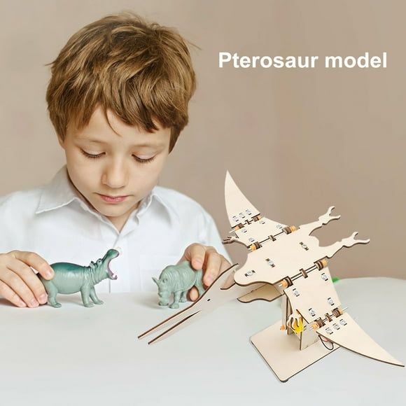 Dinosaur Model Kits Build